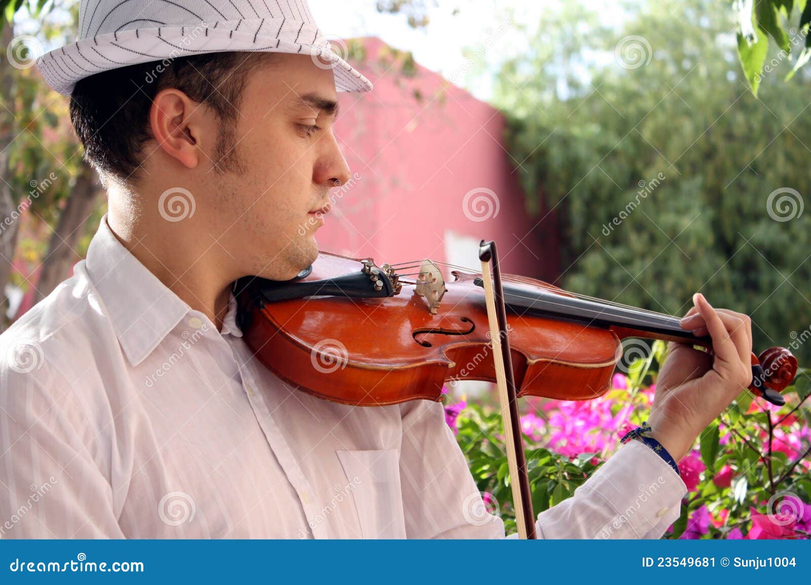 Violist stock afbeelding. Image of portret, mening, hout - 23549681