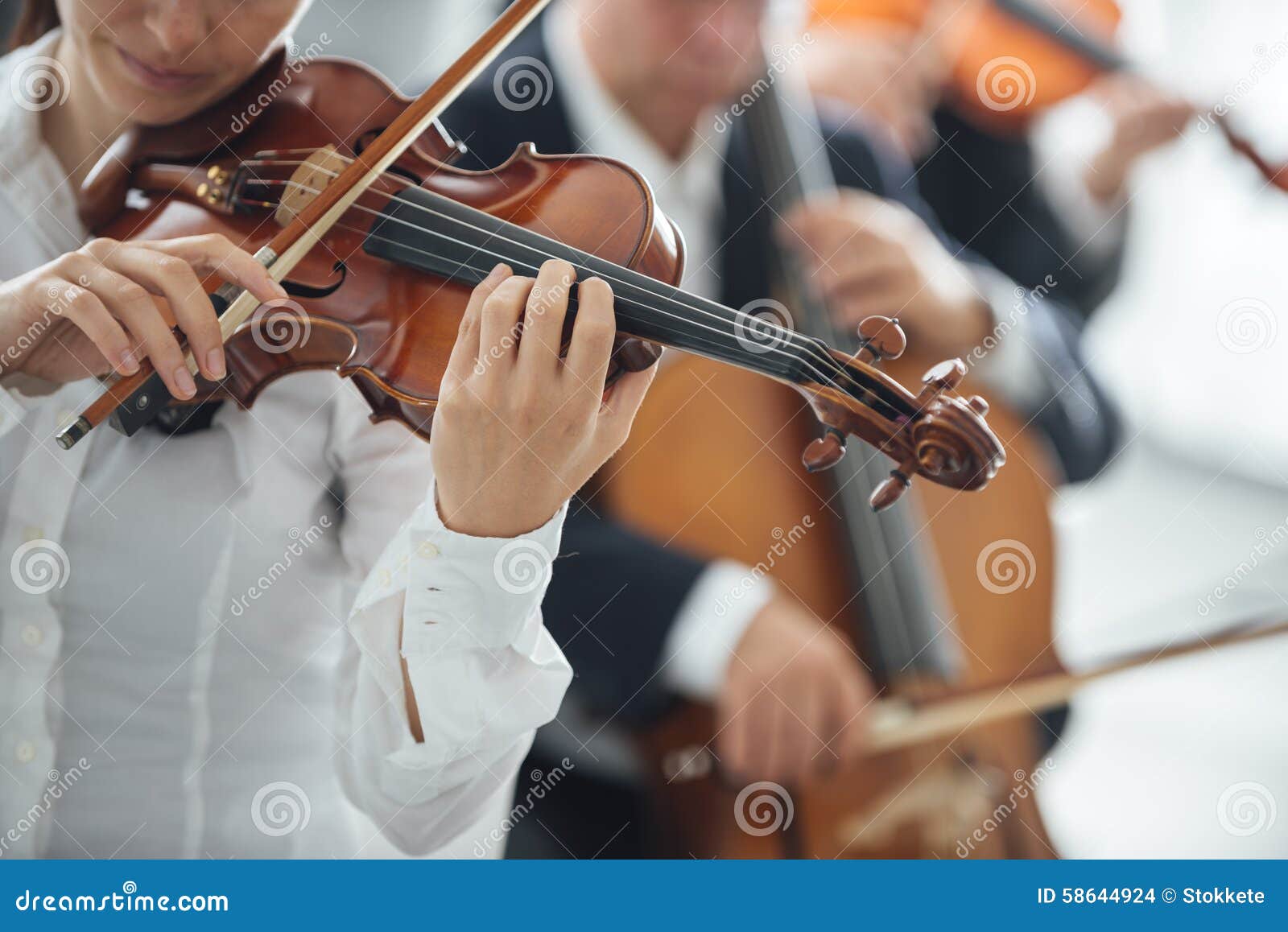 Violist Die Met Orkest Presteren Stock Foto - Image of repetitie ...