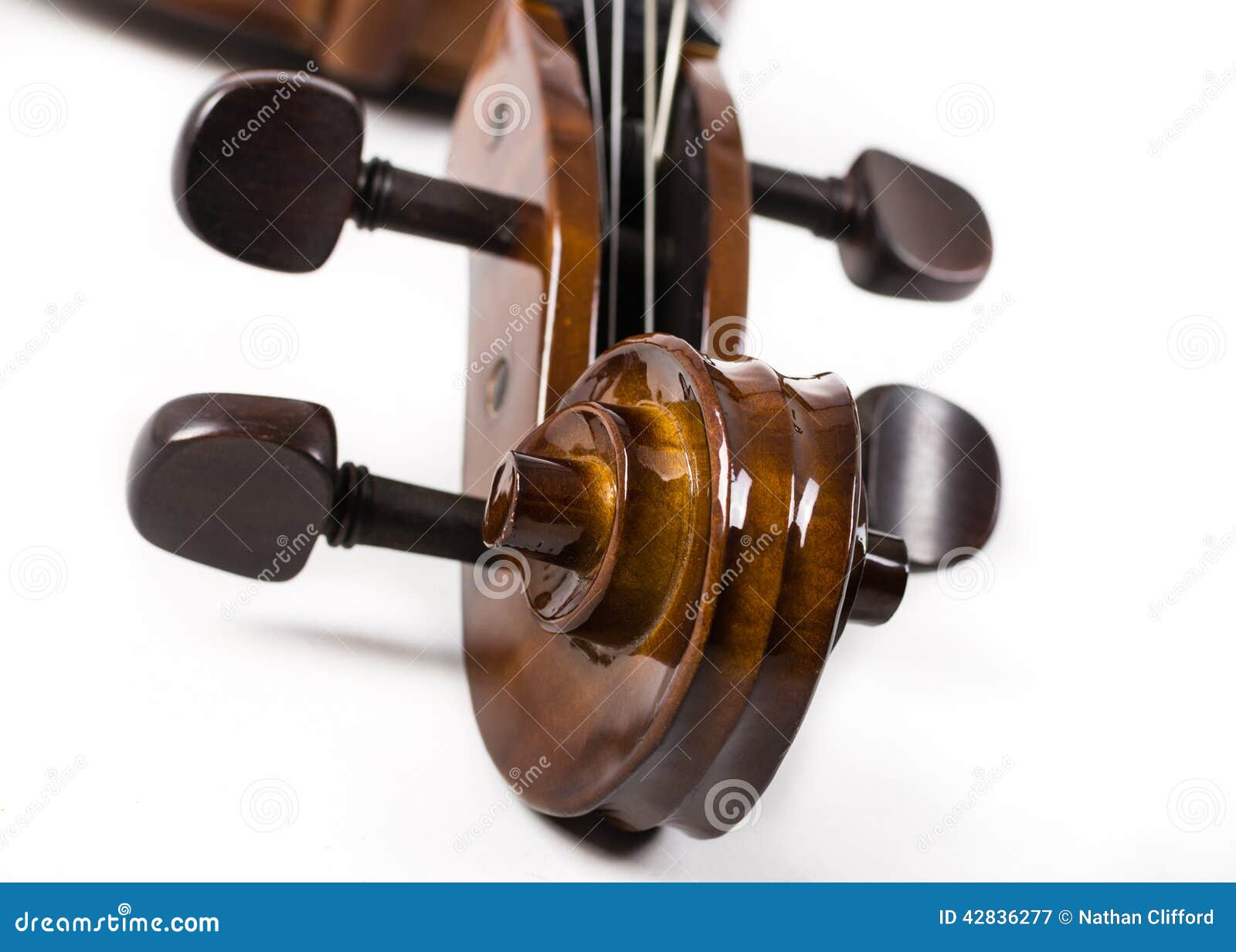 Violoncell fotografering för bildbyråer. Bild av vitt - 42836277