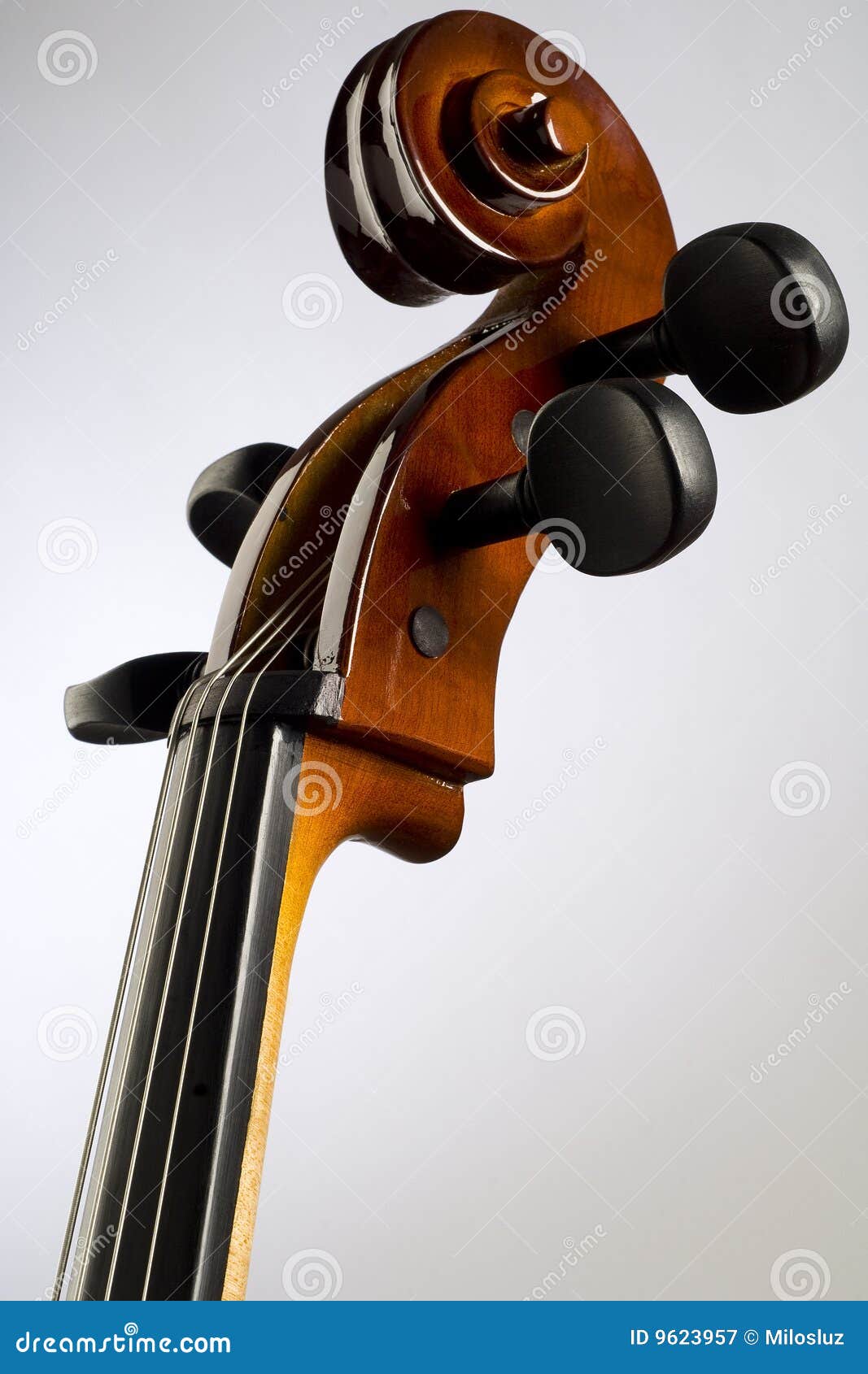 Violoncelle image stock. Image du musique, chevilles, musical - 9623957