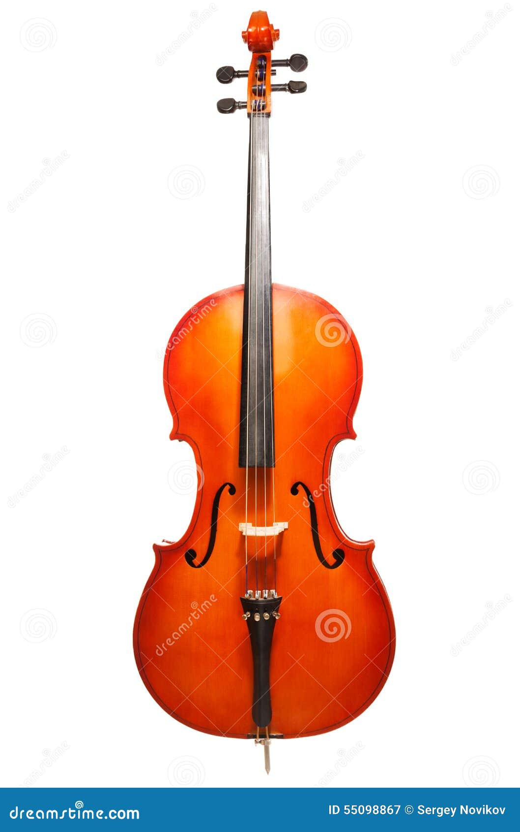 Violoncelle Se Tenant Sur Le Fond Blanc Image stock - Image du ...