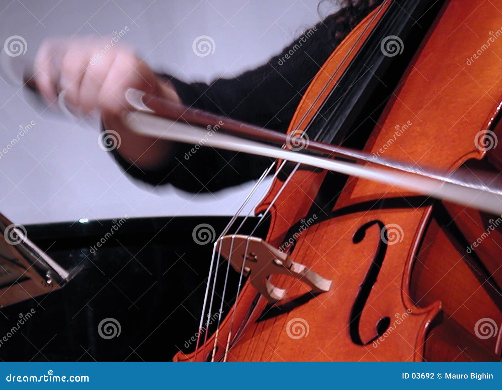 Violoncello stock photo. Image of symphony, symphonic, success - 3692