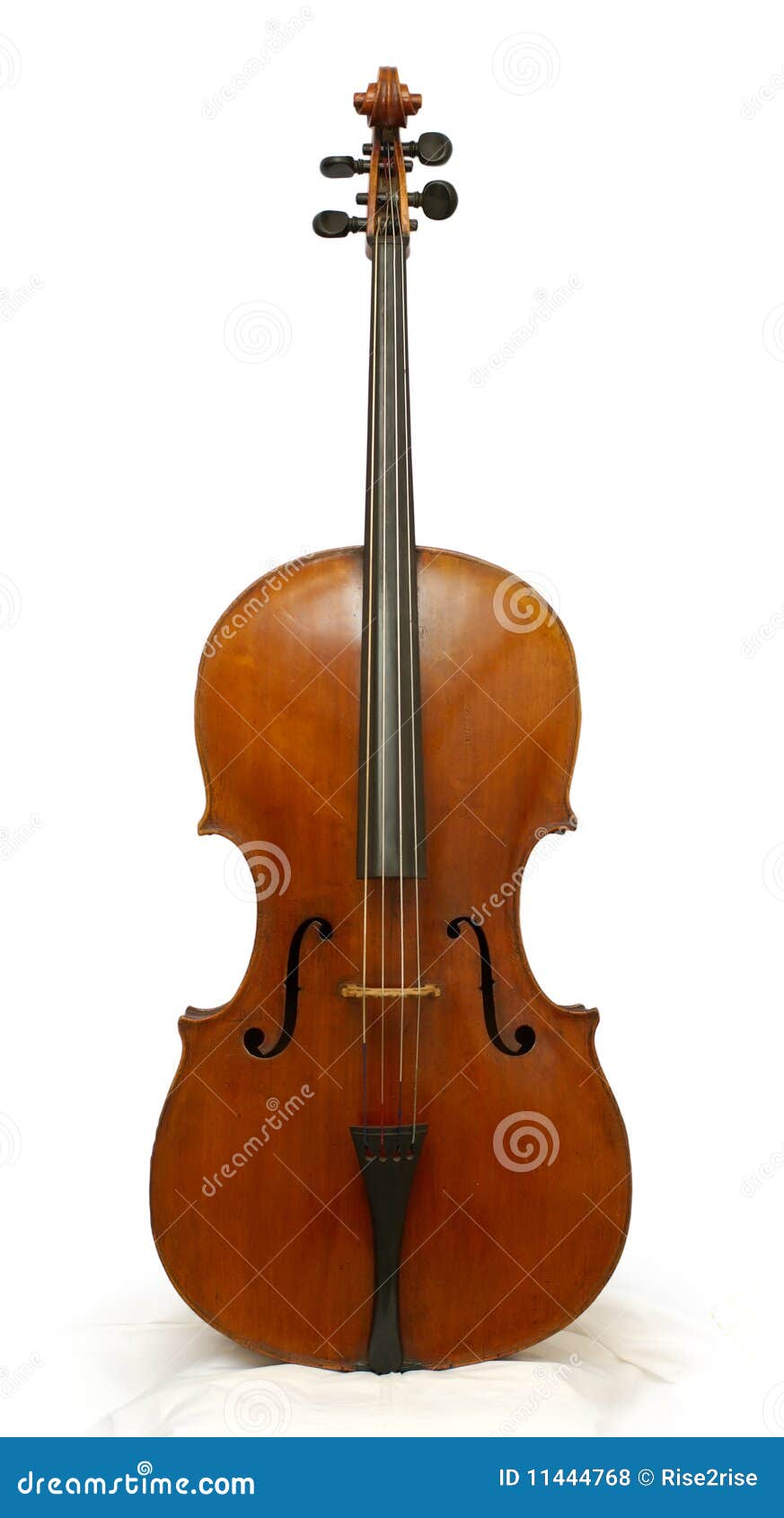 Violoncello stock photo. Image of isolated, strings, woodwork - 11444768