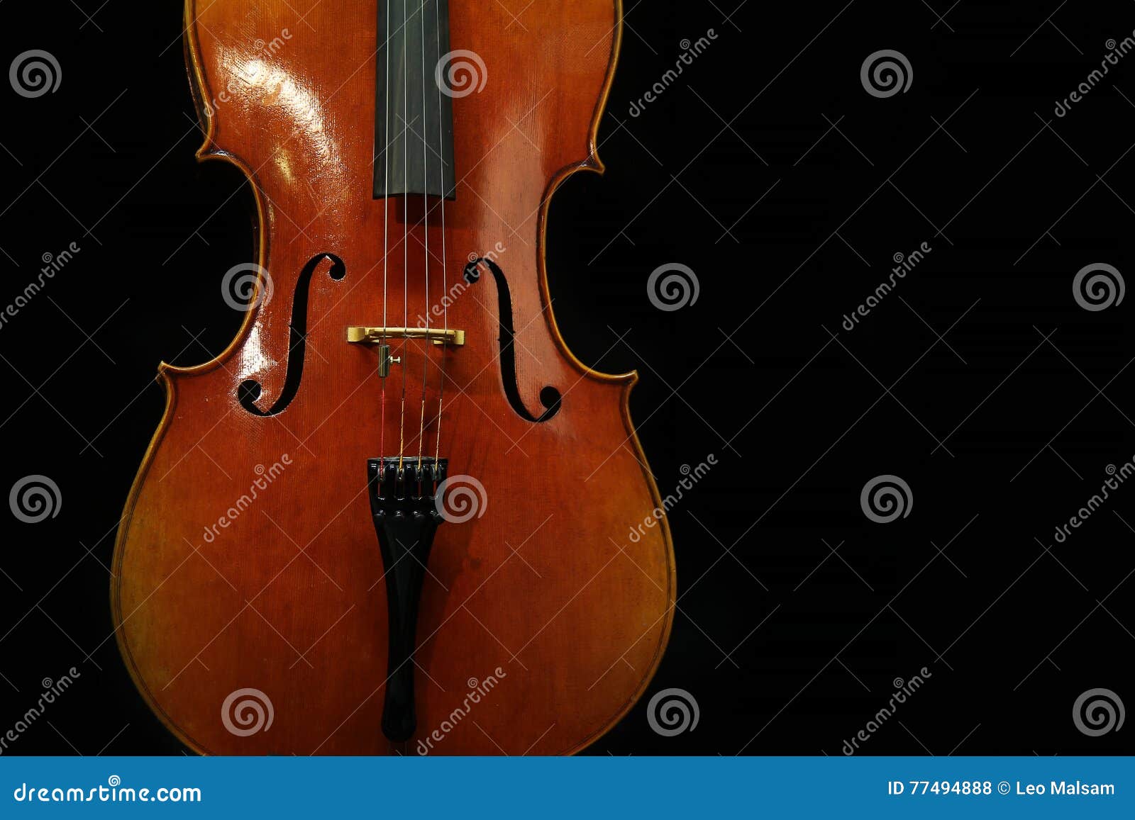 Violoncello fotografia stock. Immagine di legno, chiusura - 77494888