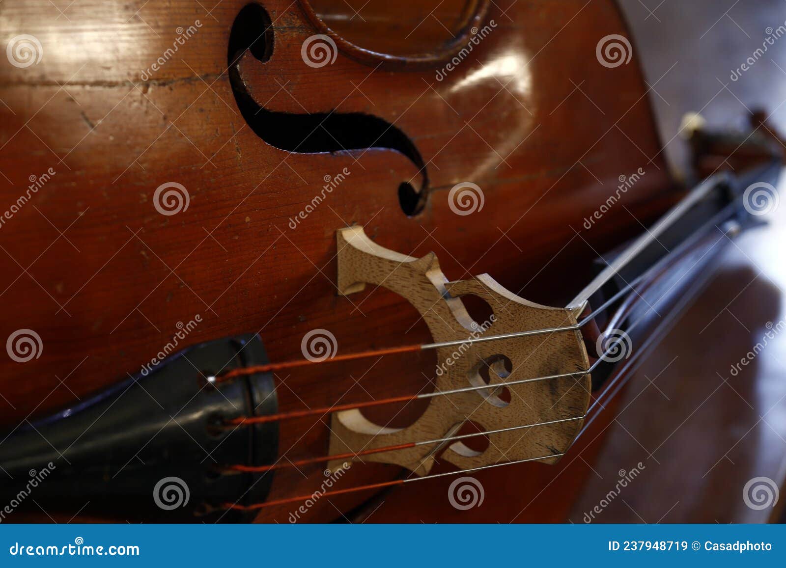 Violoncello stock image. Image of concentration, band - 237948719