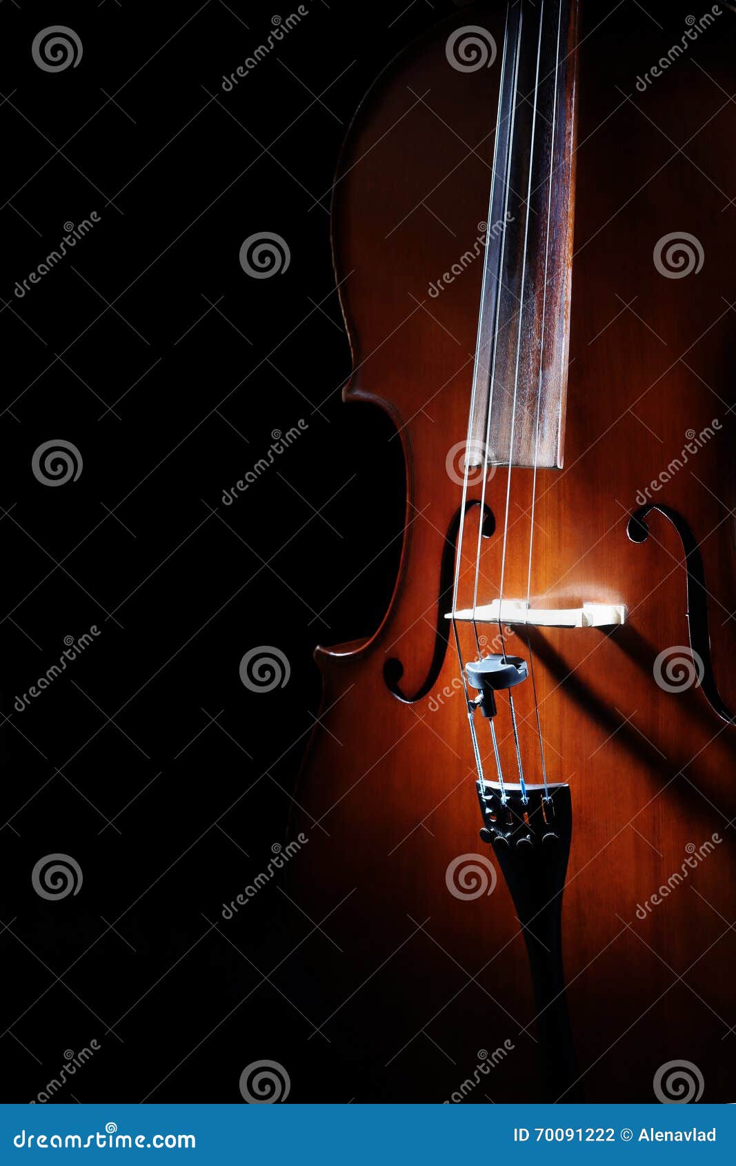Violoncello Del Violoncello Fotografia Stock - Immagine di prestazioni ...