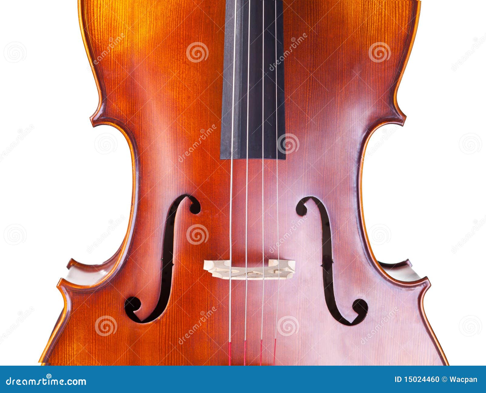 Violoncelo foto de archivo. Imagen de aislado, concierto - 15024460