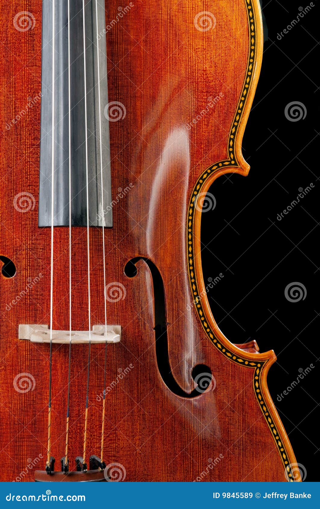Violoncelo no close up imagem de stock. Imagem de violoncelo - 9845589
