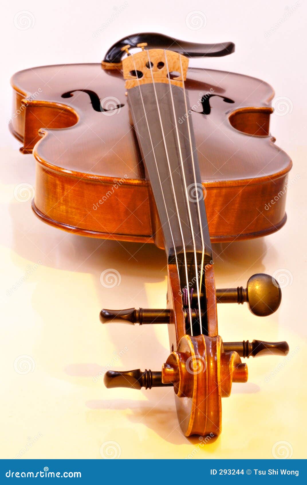 Viool stock foto. Image of kamer, harmonie, symfonisch - 293244