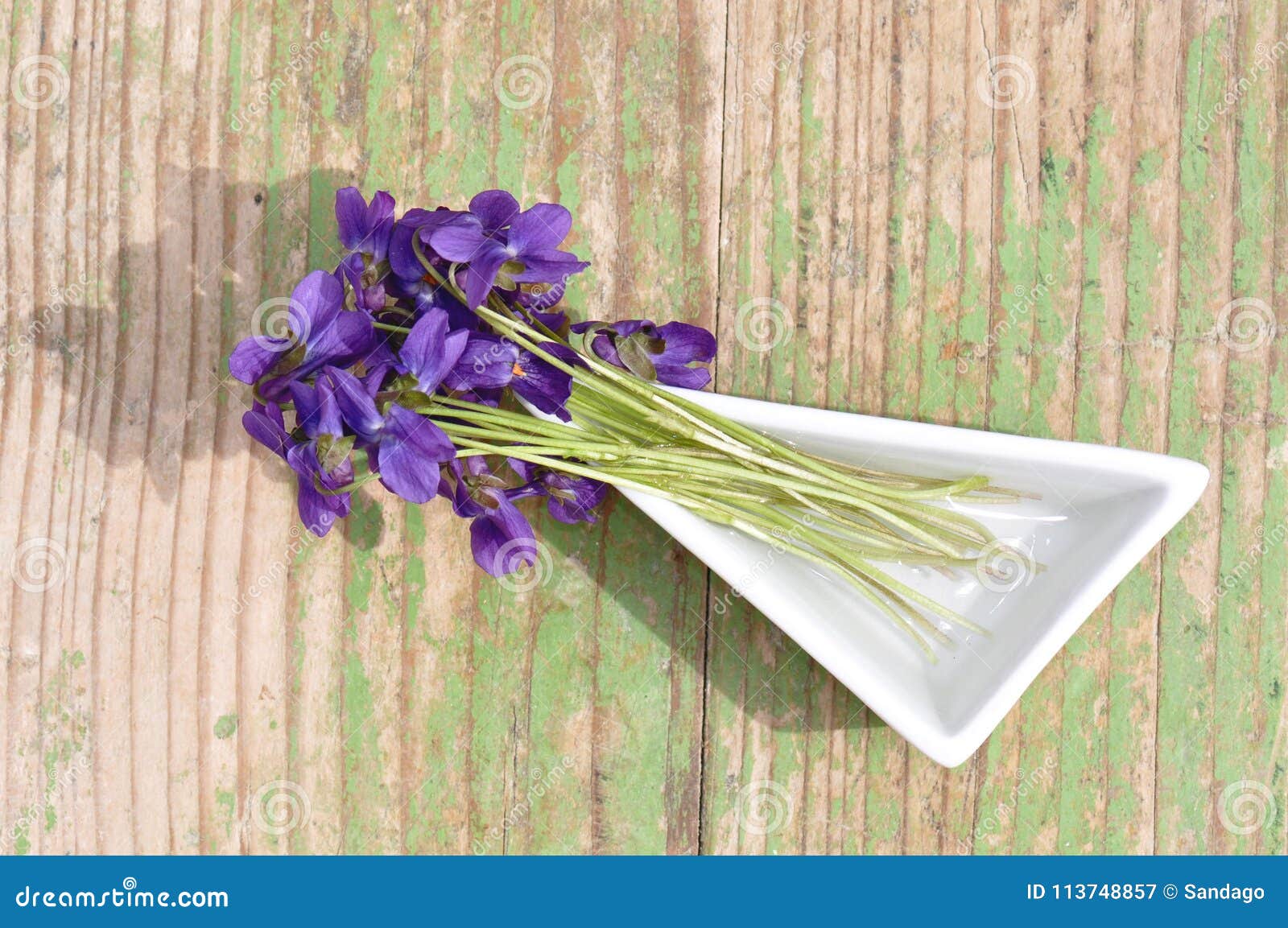 Viooltjes stock afbeelding. Image of macro, blauw, bloem - 113748857