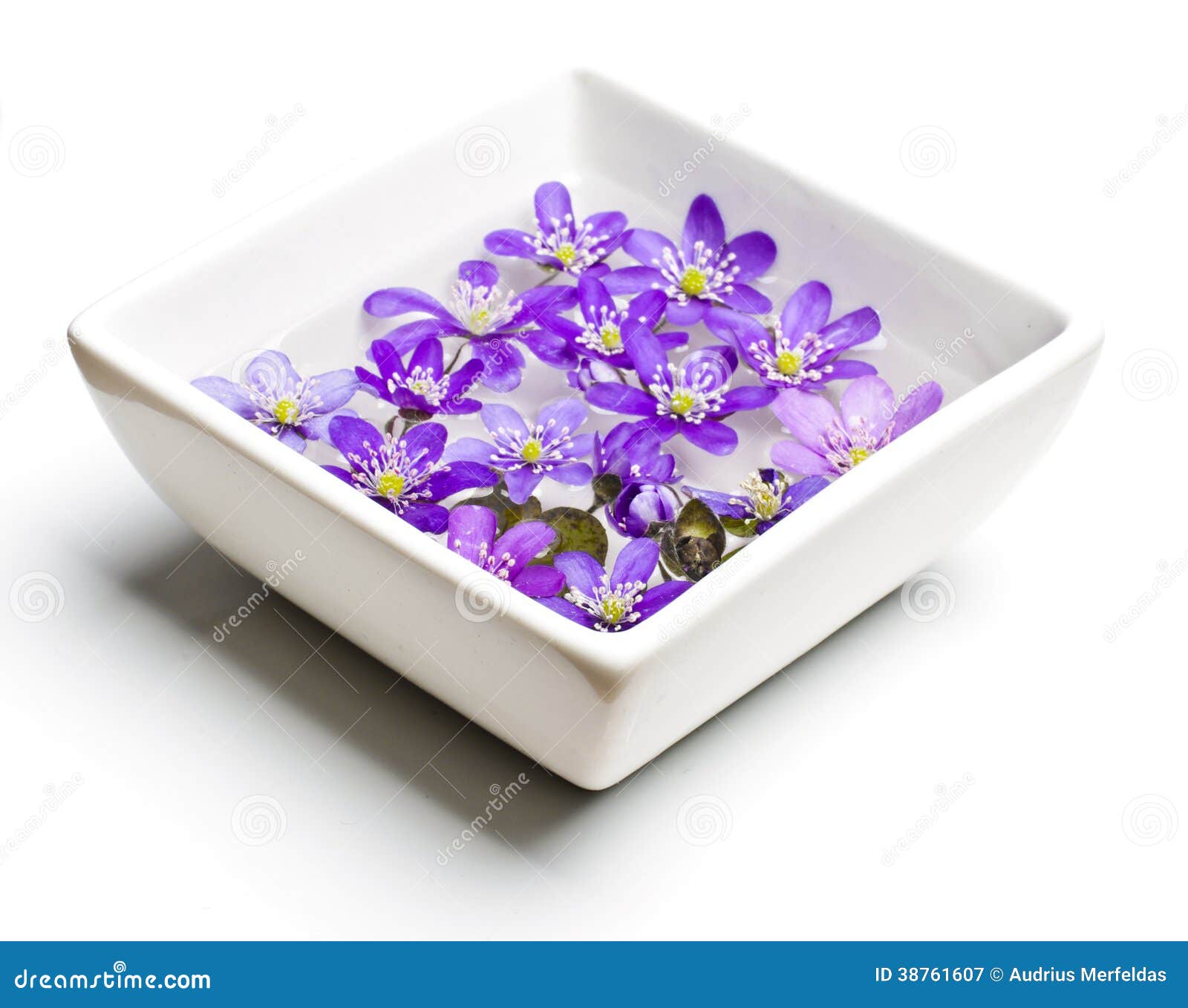 Viooltjes in De Witte Vaas Lage Hoek Stock Afbeelding - Image of vers ...