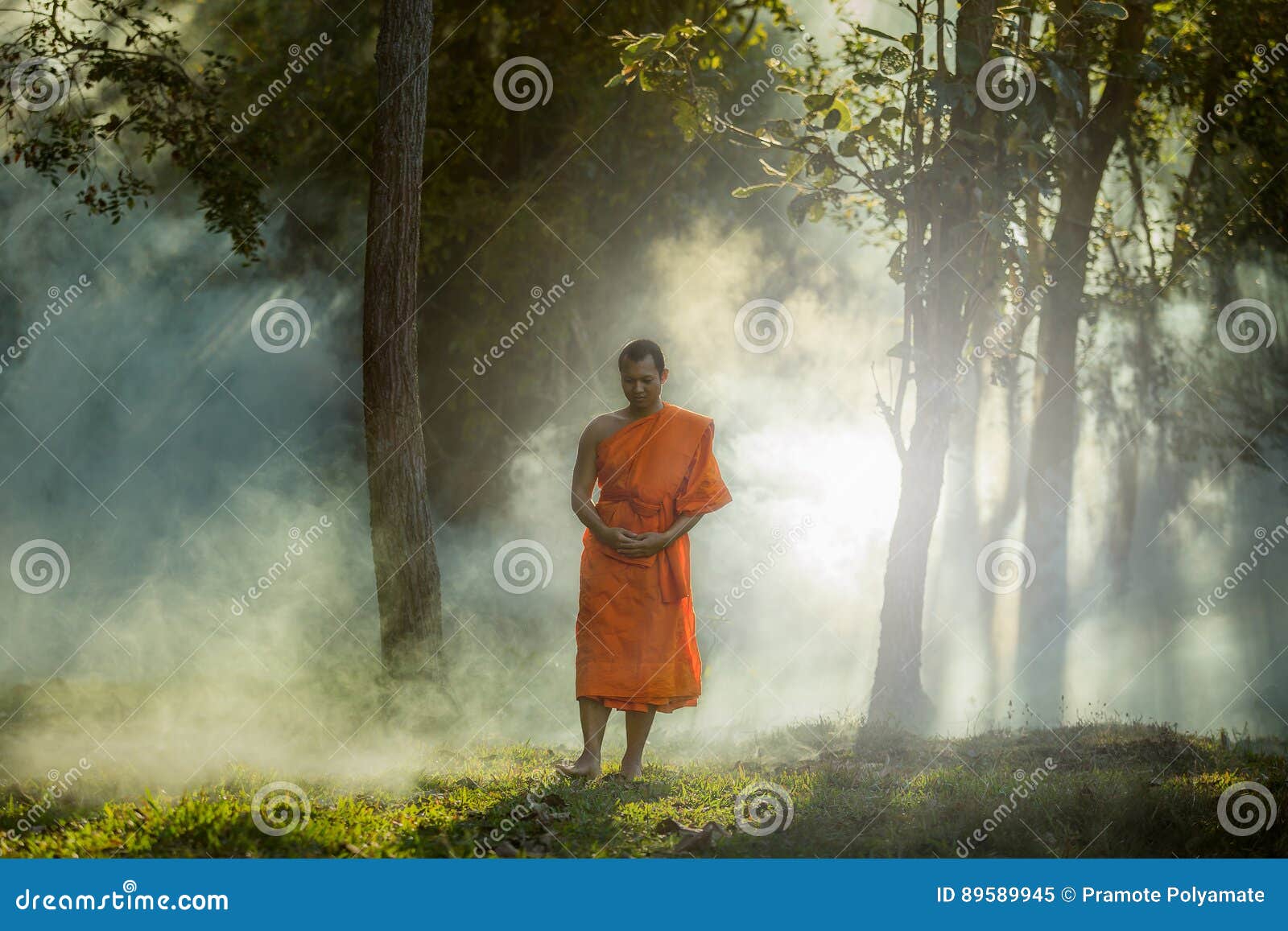Vipassana Meditation Monk Walks in a Quiet Forest. Stock Image - Image ...