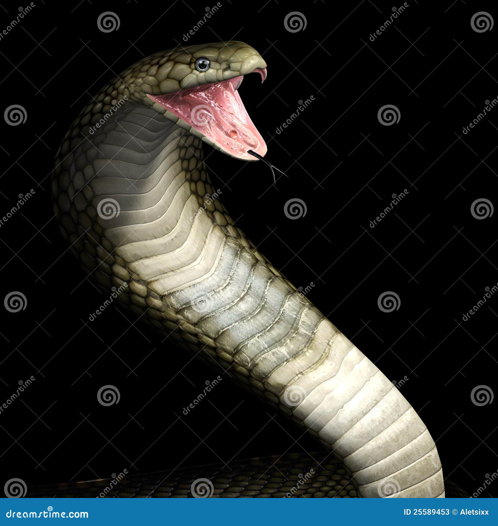 Cobra Snake Burrow Desert Flat Cartoon Vector Wild Reptile ...