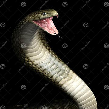 Viper cobra snake stock illustration. Illustration of elapidae - 25589453