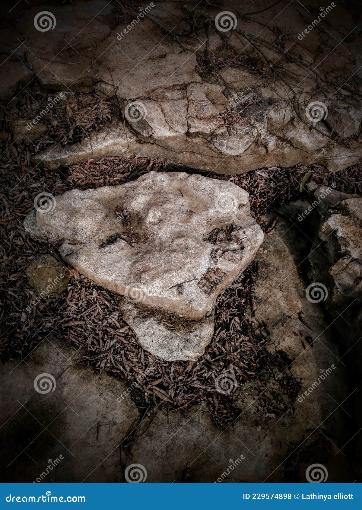 Viper Rock at Drowning Creek Stock Photo - Image of viper, formation ...