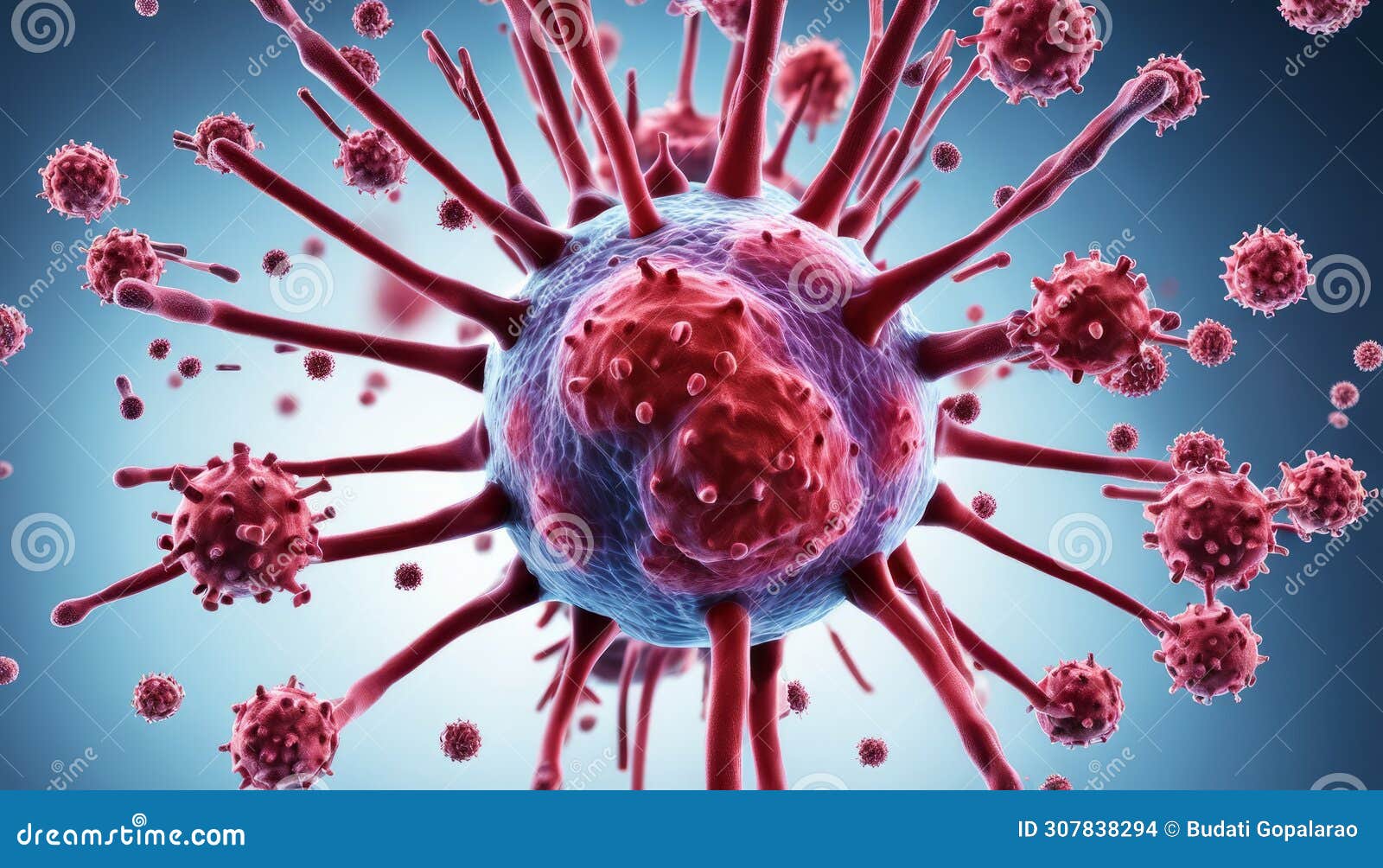 Viral Infection - a Close-Up Look at the Battle within Stock ...