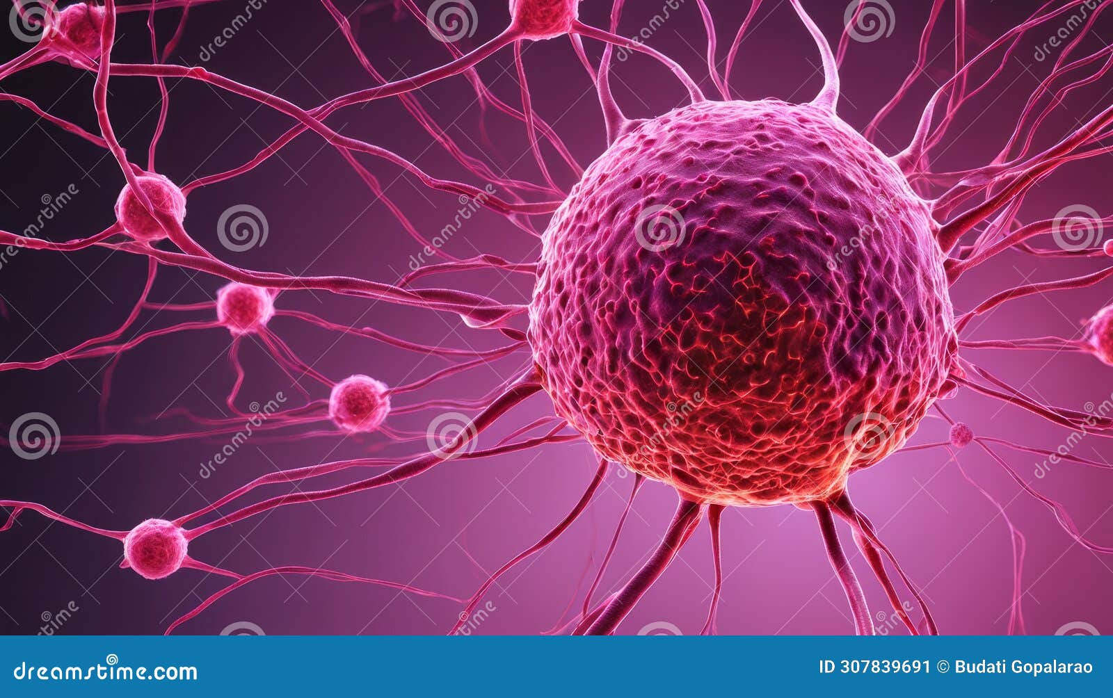 Viral Infection - a Close-Up Look at the Battle within Stock ...