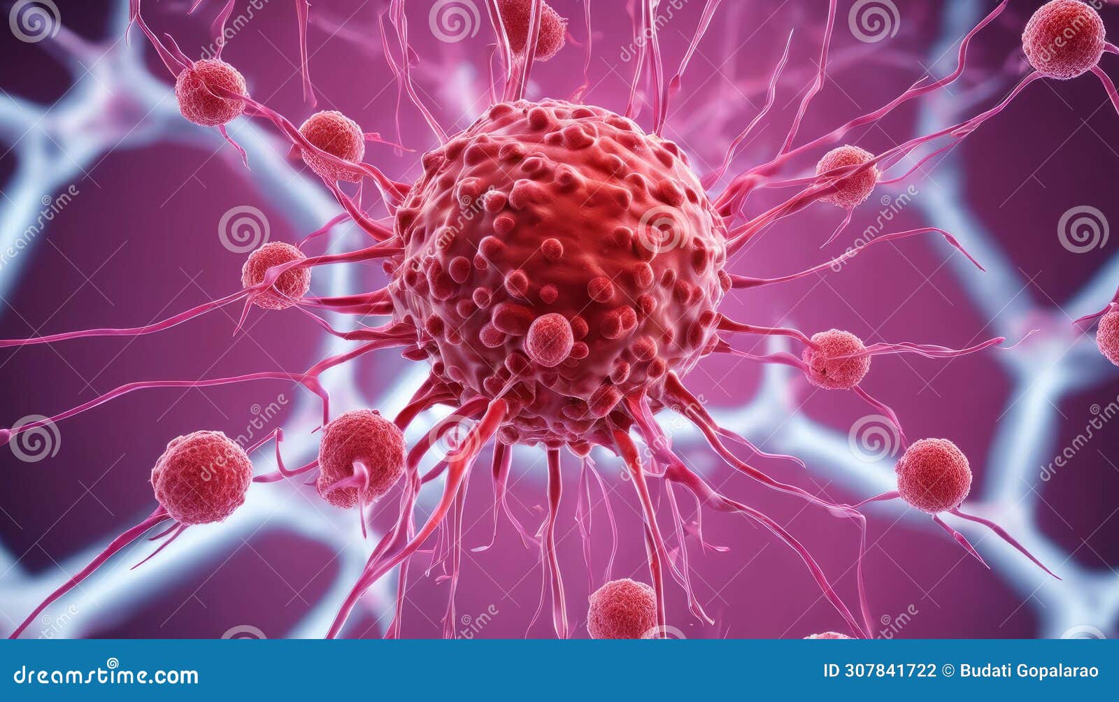 Viral Infection - a Close-Up Look at the Battle within Stock ...