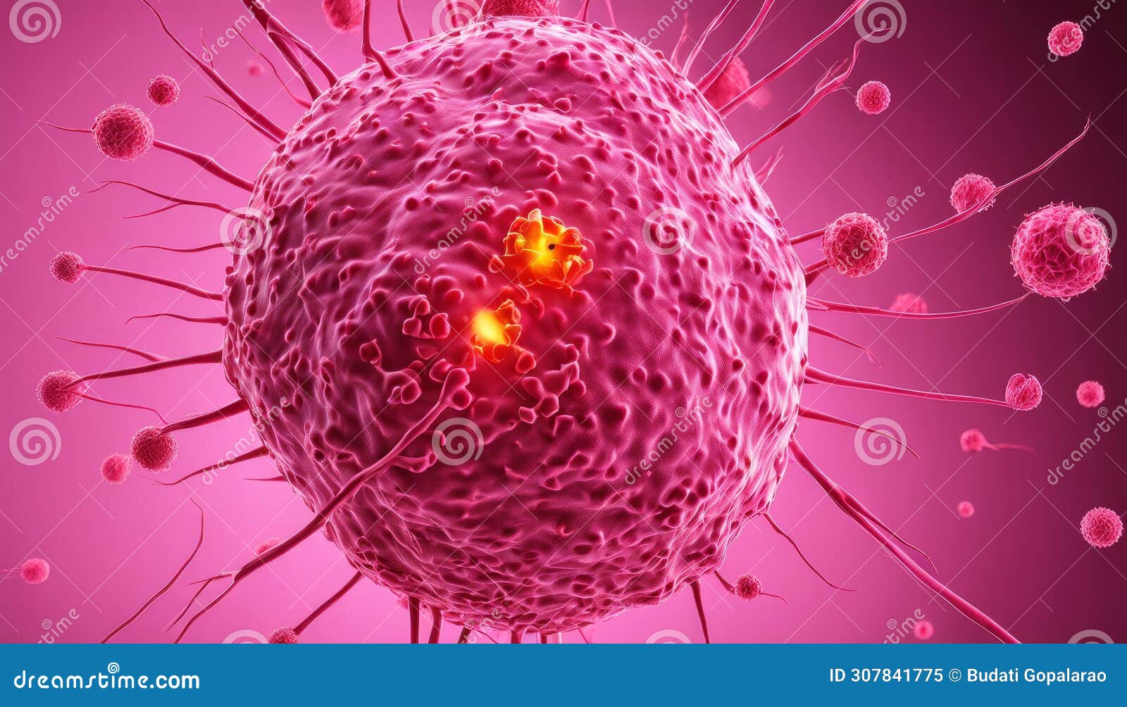 Viral Infection - a Close-Up Look at the Battle within Stock ...