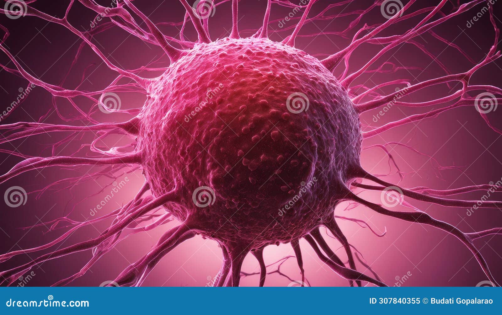 Viral Infection - a Close-Up Look at a Virus Attacking a Cell Stock ...