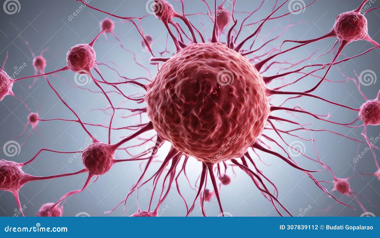 Viral Infection - a Microscopic View of a Virus Infecting a Cell Stock ...