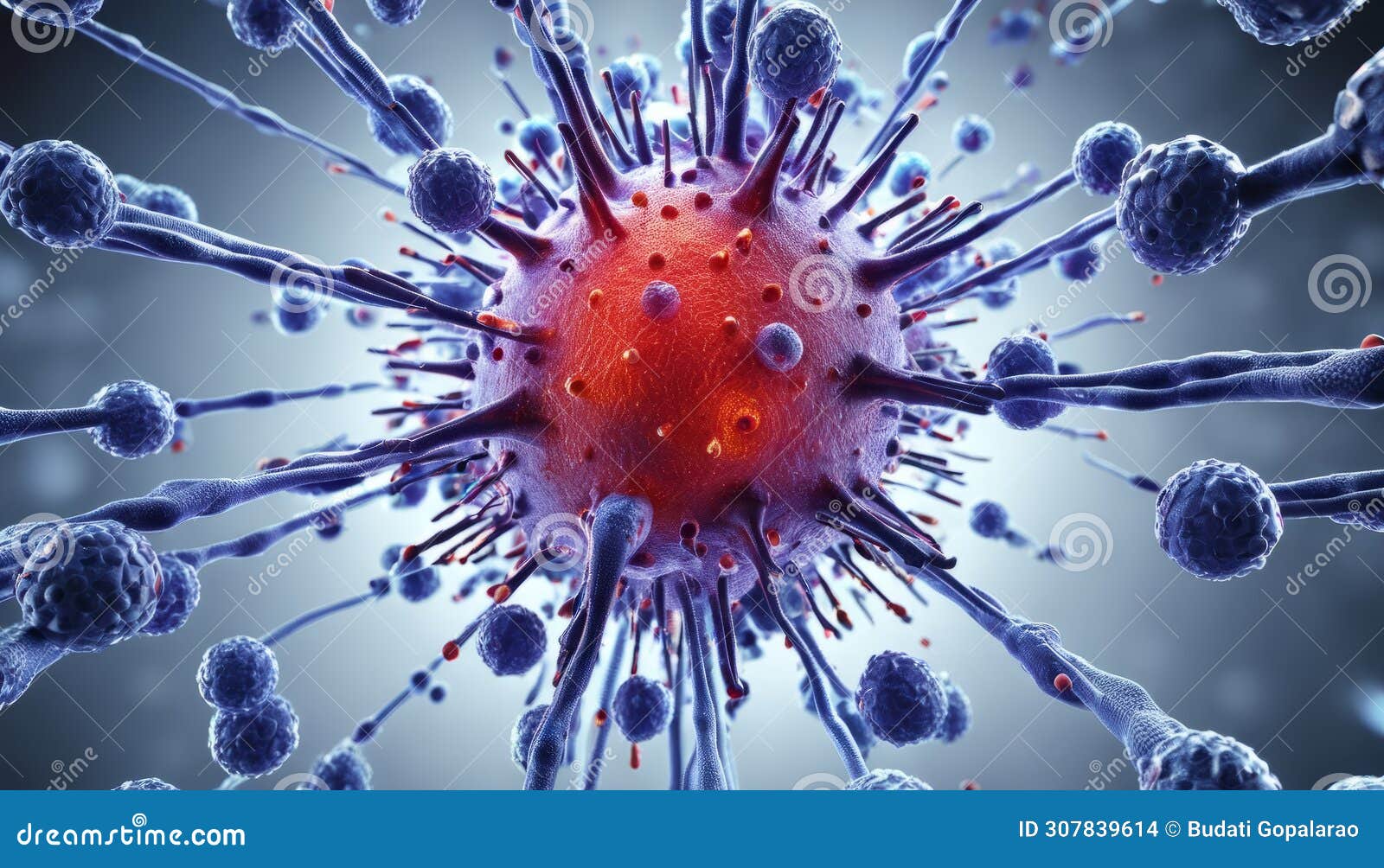 Viral Infection - a Microscopic View of a Virus Infecting a Cell Stock ...