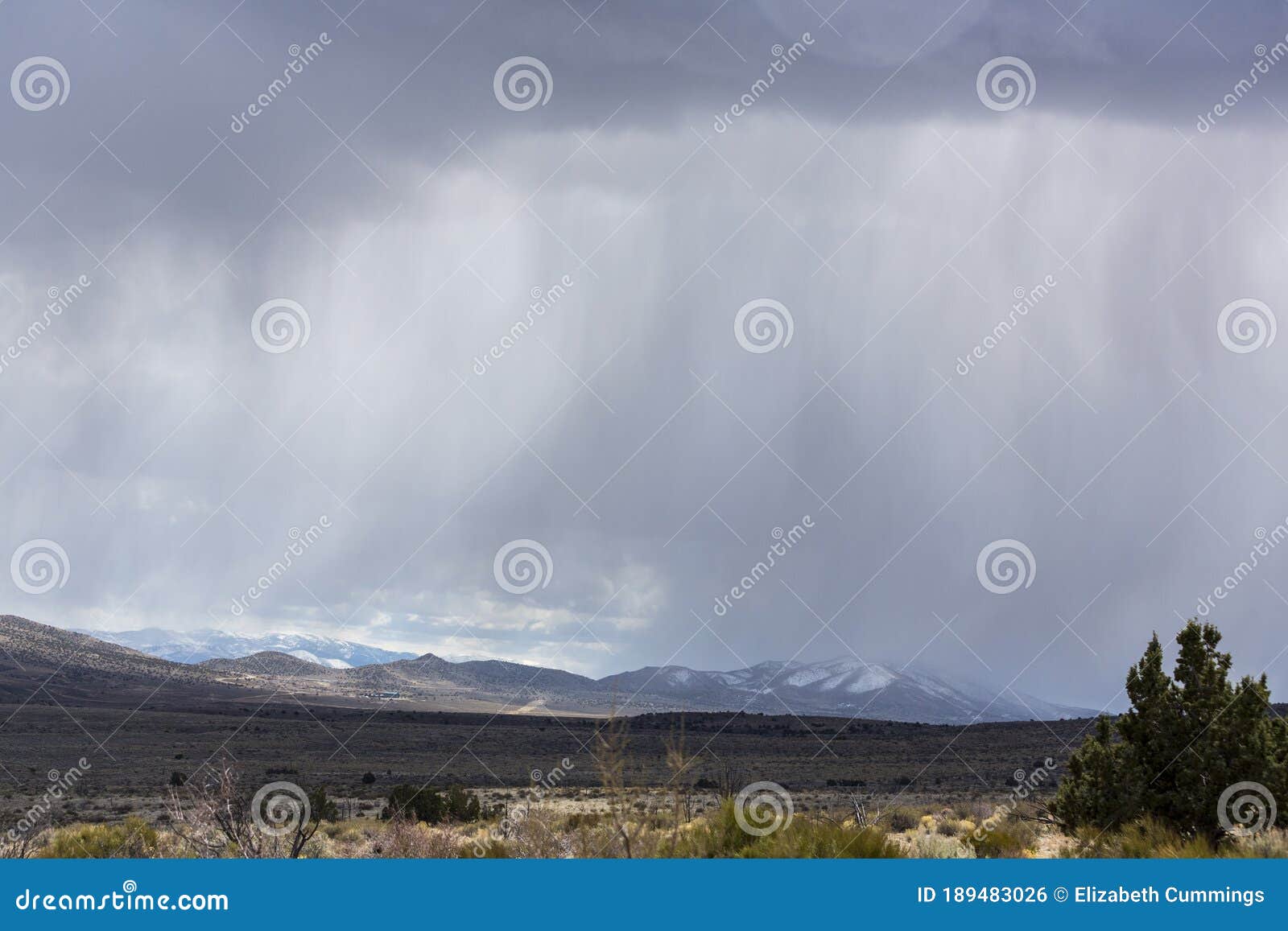 Virga Rain Scene Over The Desert Sagebrush And Trees Stock Photography ...