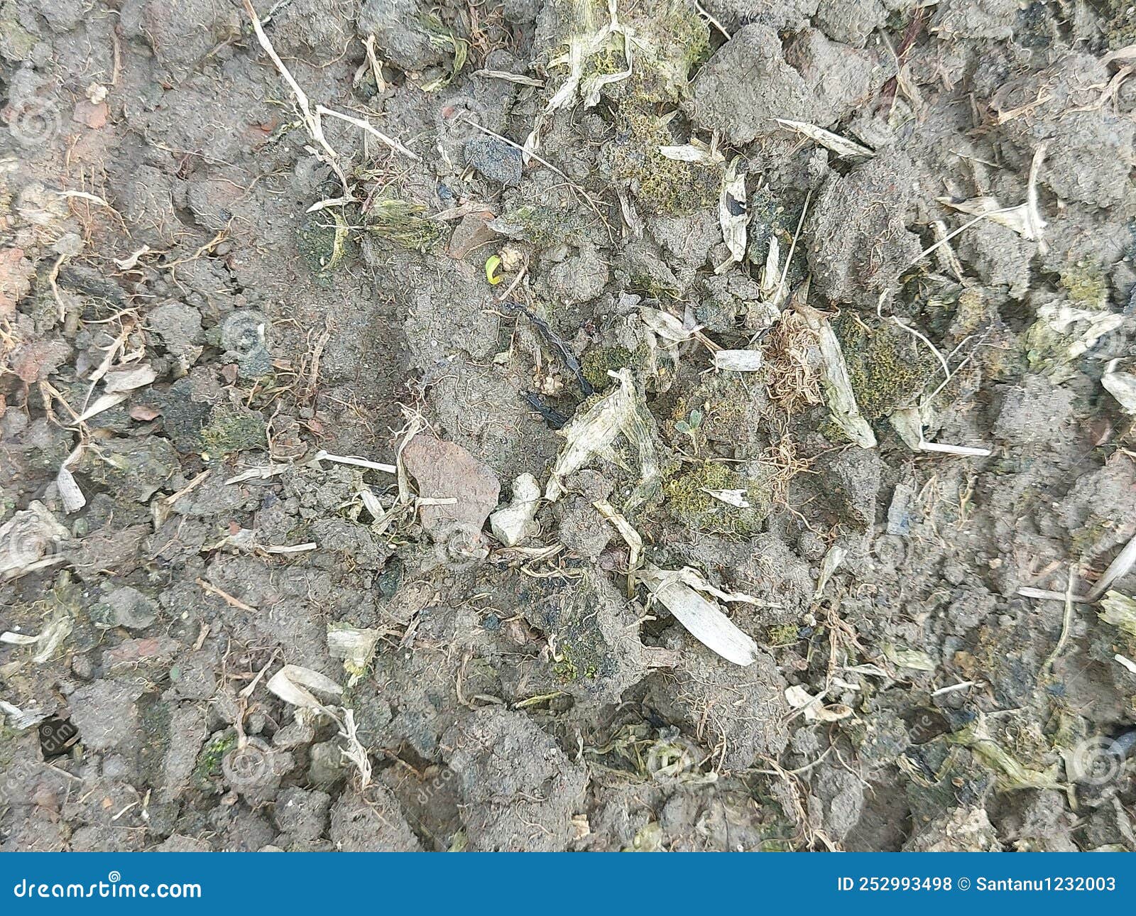 Grey Dry Soil Surface With Cracks , Soil Drought Cracks Texture ...
