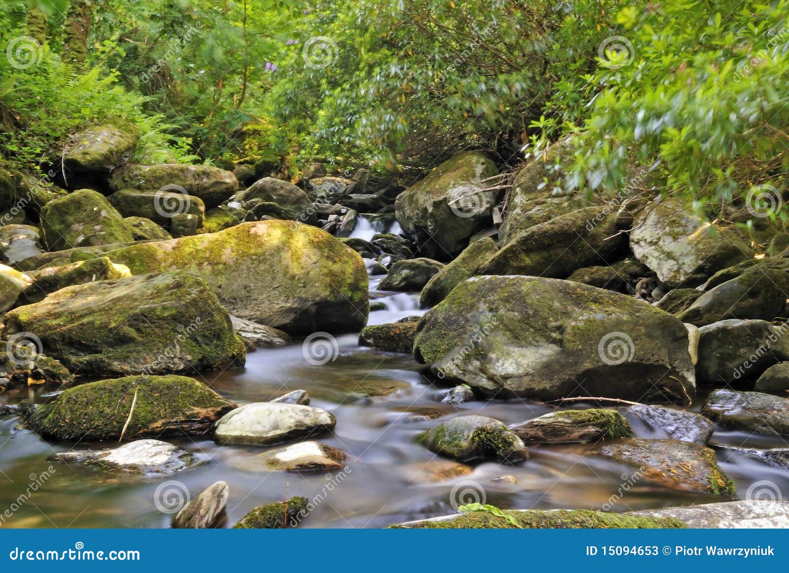 Virgin Irish spring stock image. Image of killarney, eire - 15094653