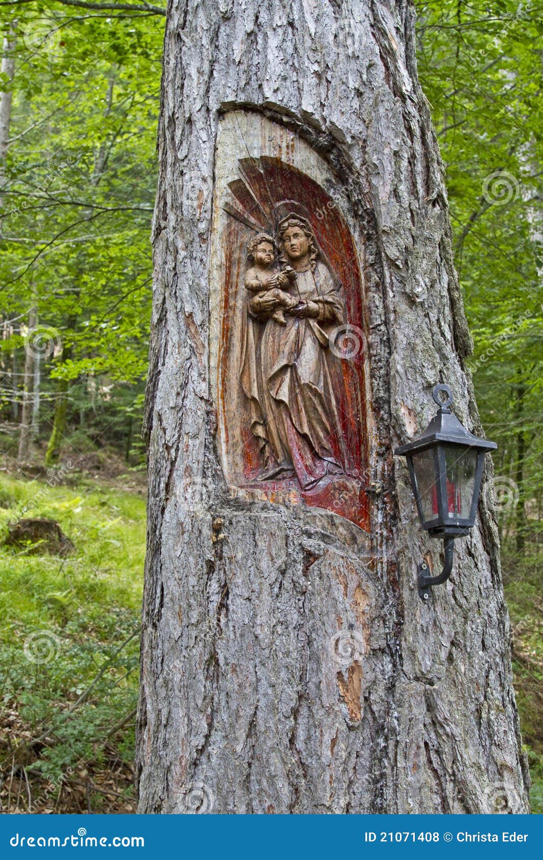 Virgin Mary in tree stock photo. Image of lienz, religion - 21071408