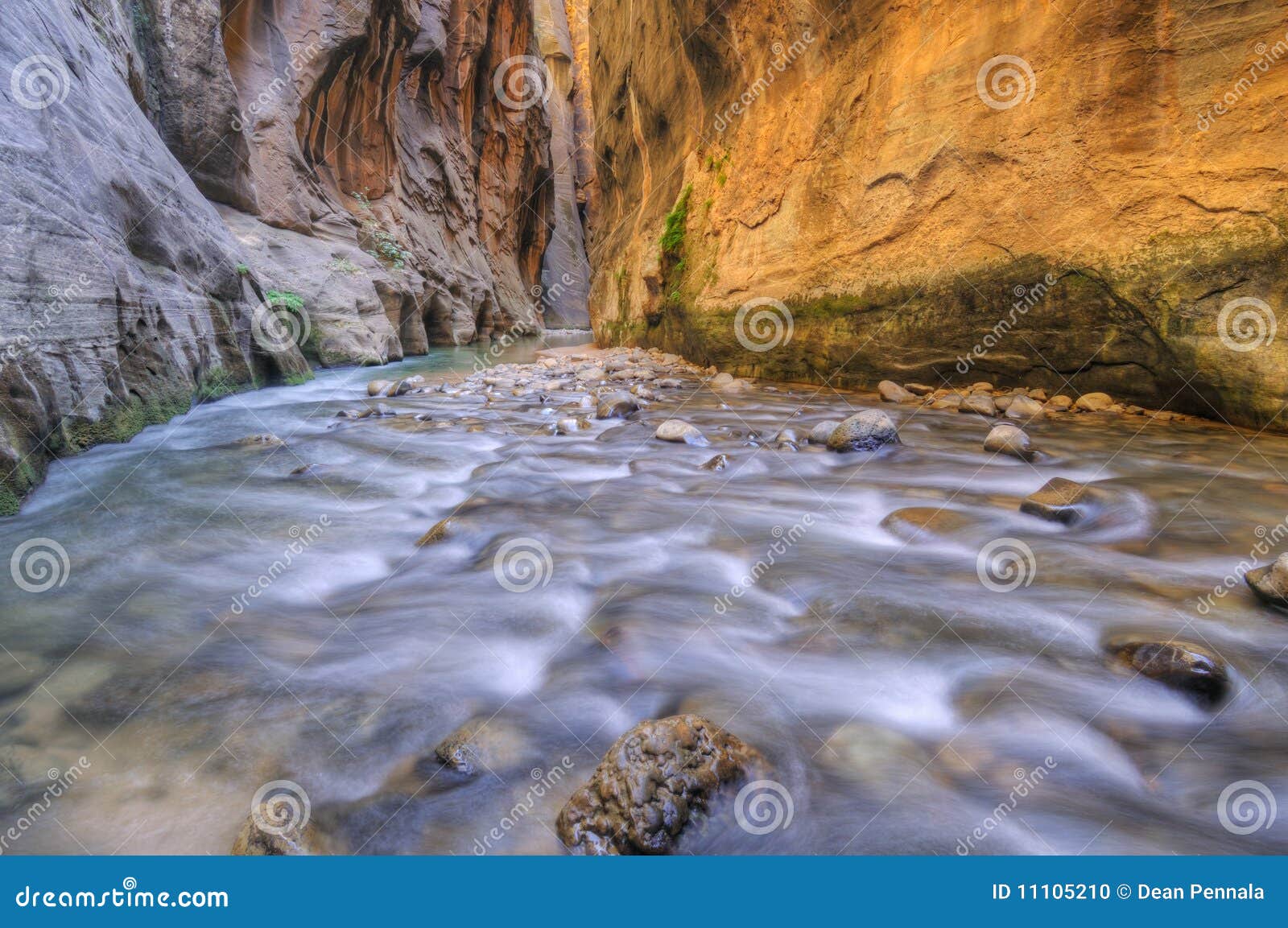 River Narrows Canoe Trail, Okefenokee Swamp National Wildlife Refuge ...