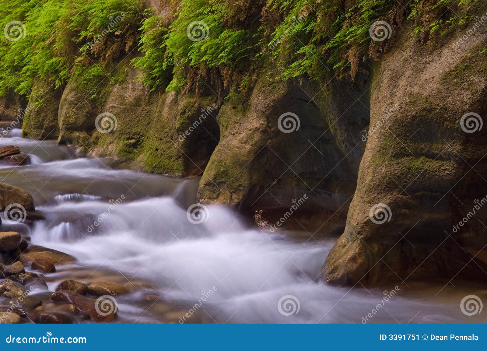 River Narrows Canoe Trail, Okefenokee Swamp National Wildlife Refuge ...