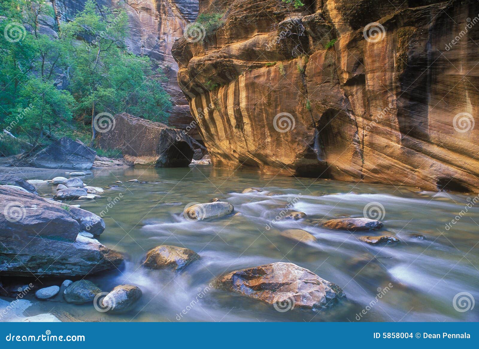 River Narrows Canoe Trail, Okefenokee Swamp National Wildlife Refuge ...