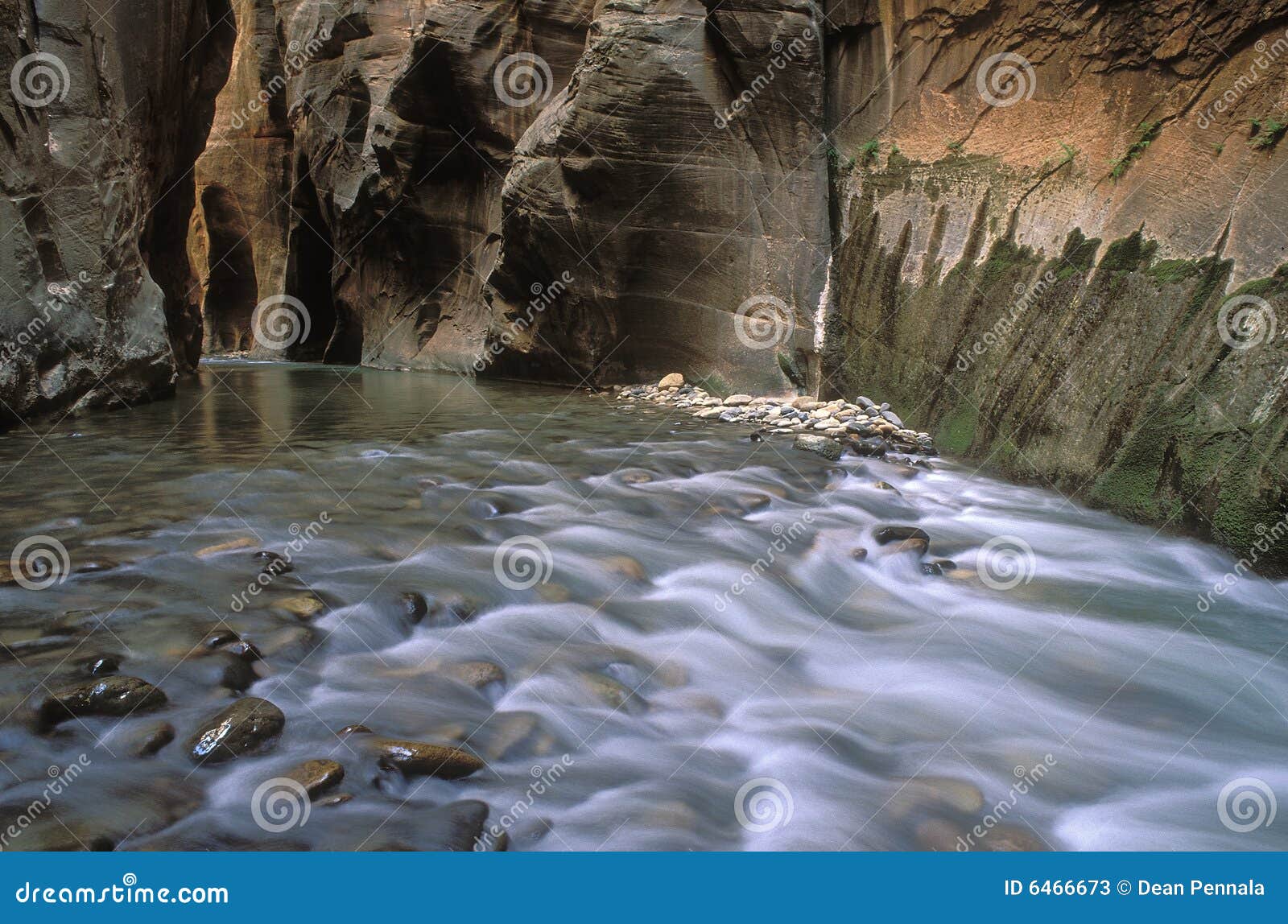 River Narrows Canoe Trail, Okefenokee Swamp National Wildlife Refuge ...