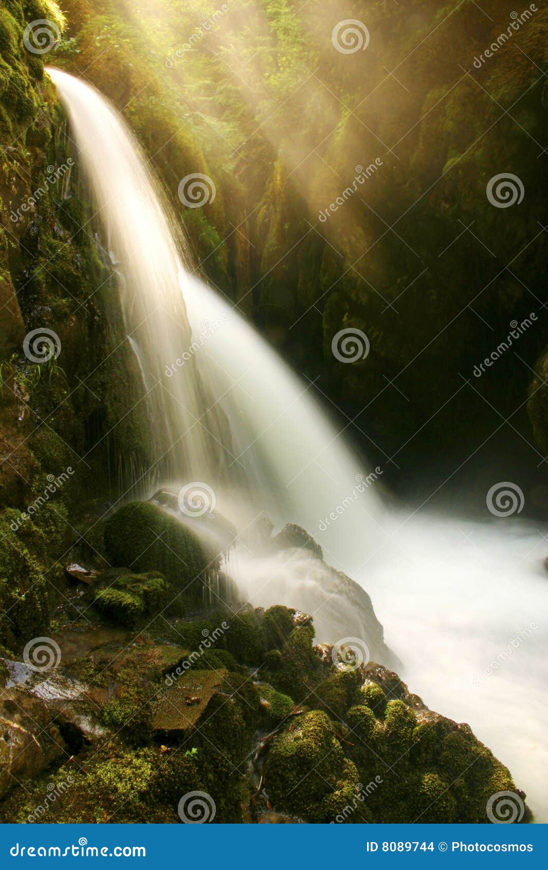Virgin Waterfall stock photo. Image of moss, waterfall - 8089744