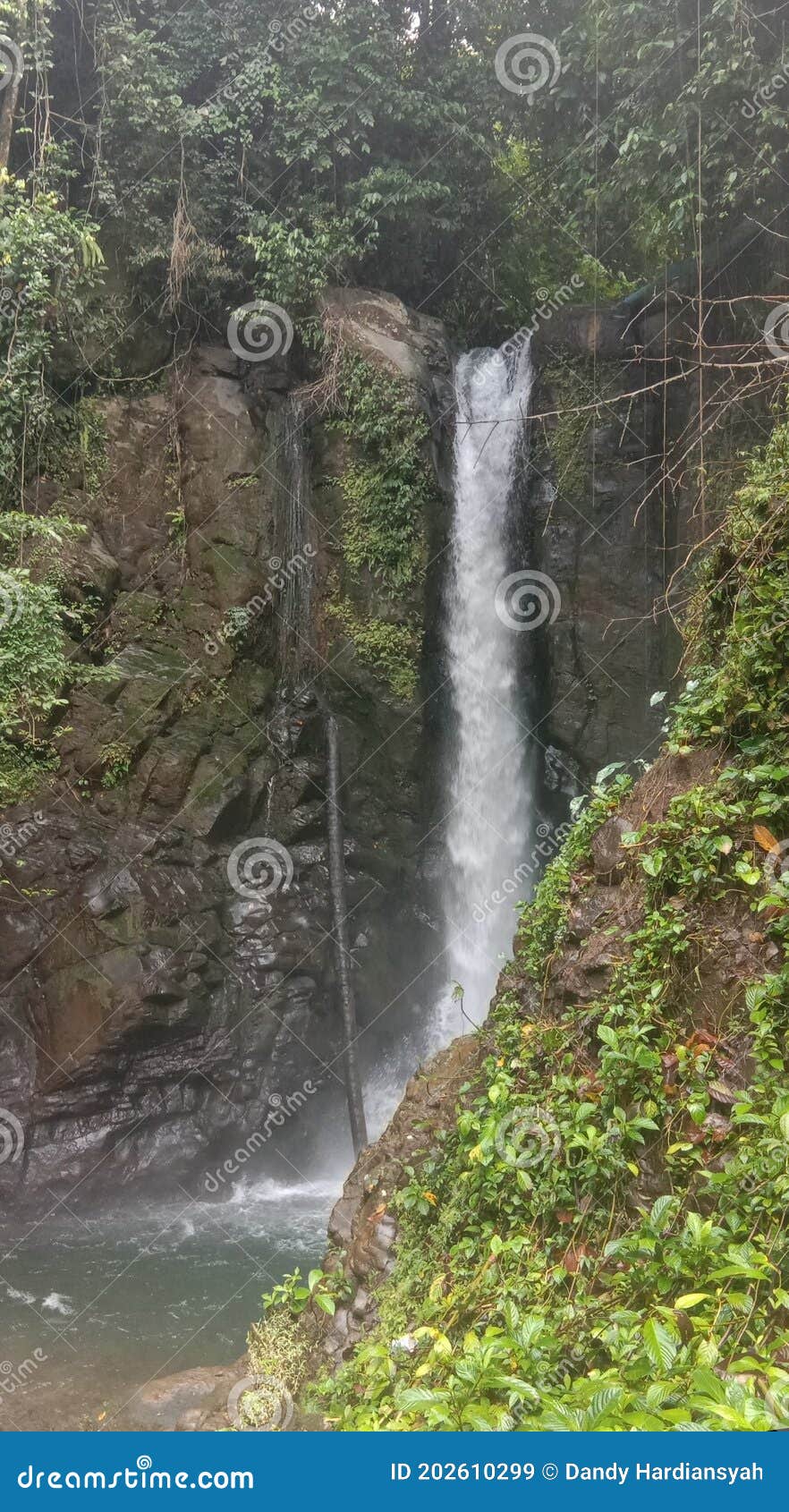 A Virgin Waterfall in the Remote Area Stock Image - Image of located ...