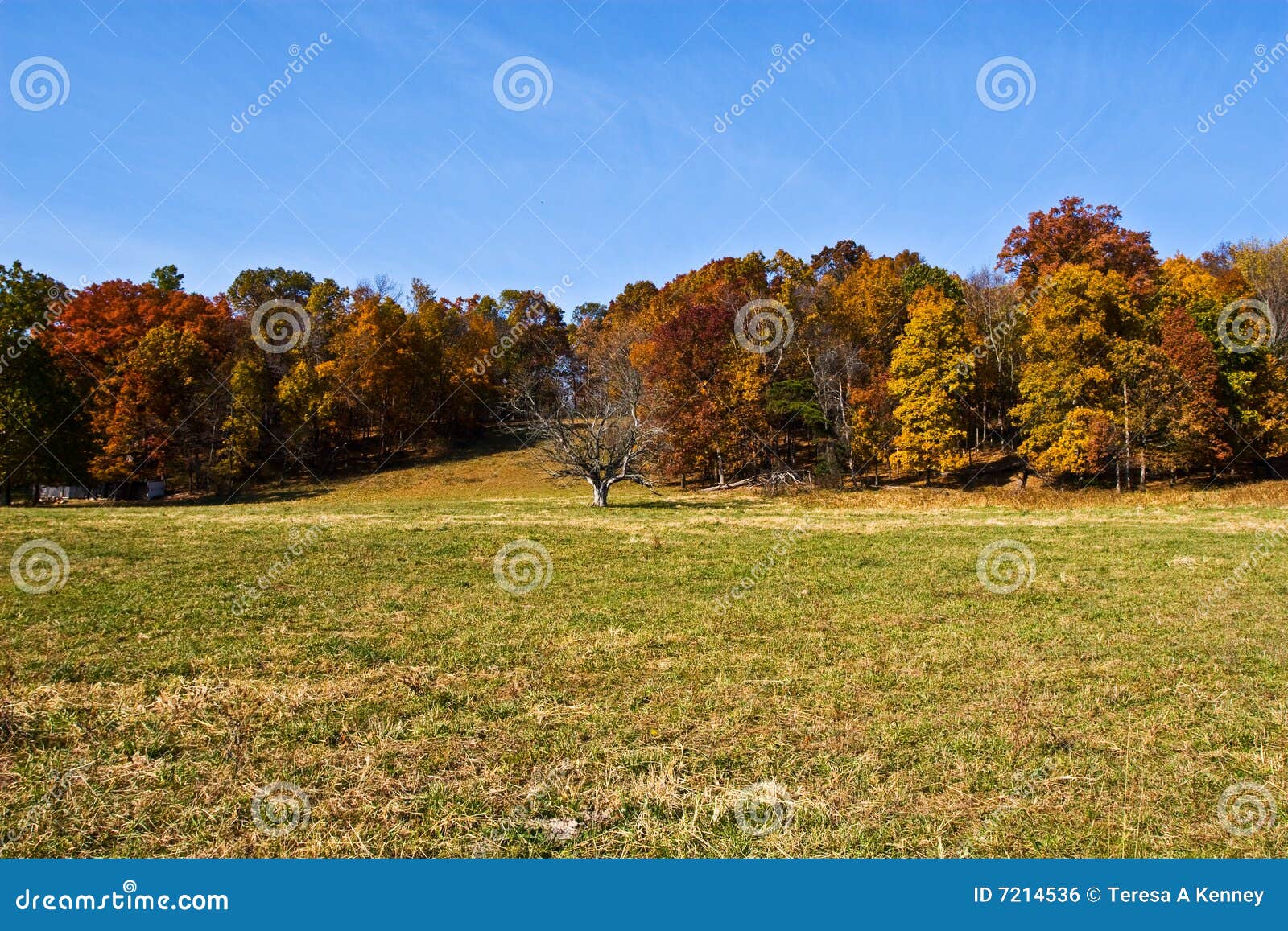 Virginia Autumn Farm stock photo. Image of north, colour - 7214536