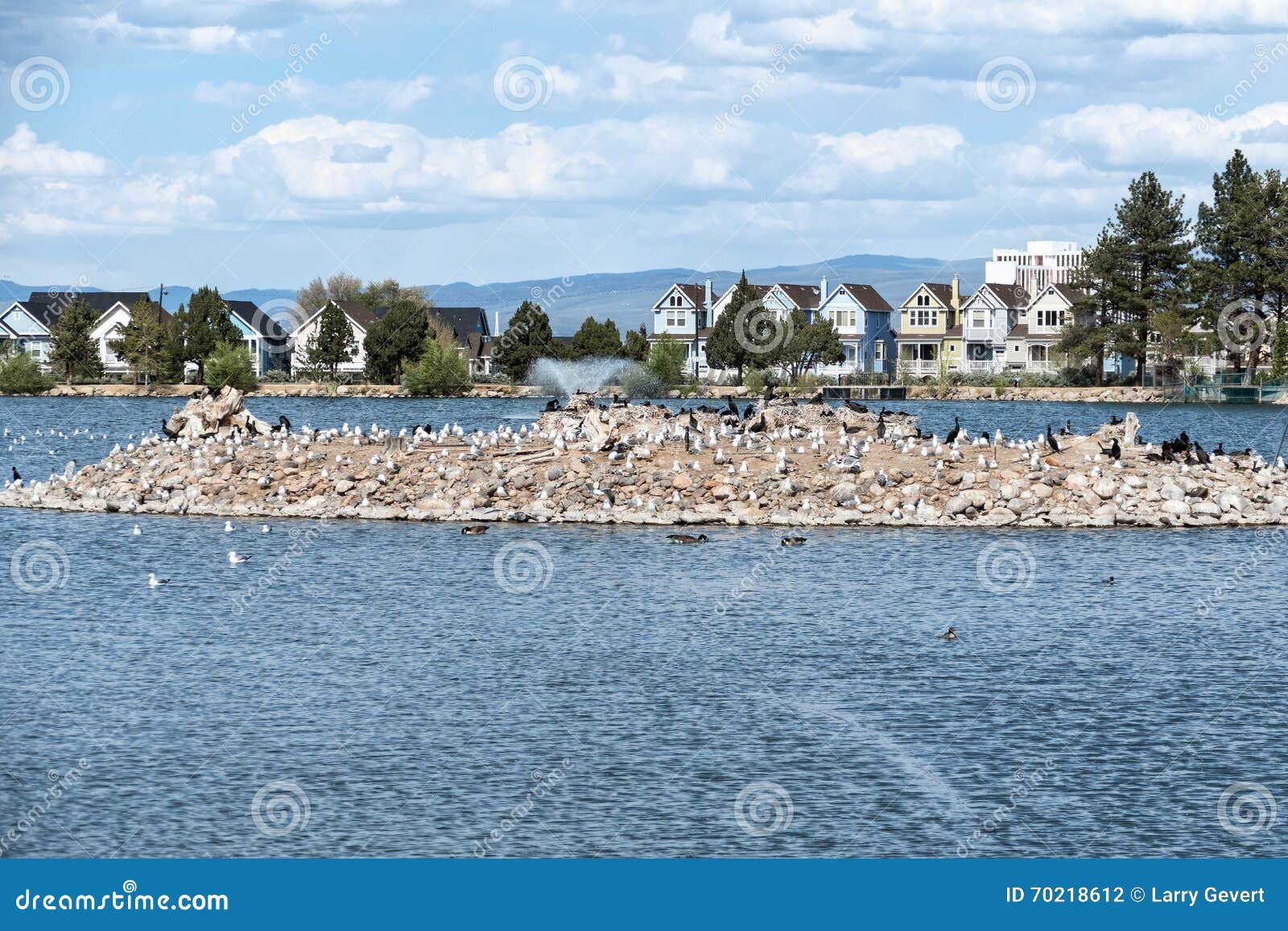 Virginia Lake, Reno, Nevada Stock Photo - Image of nature, hill: 70218612