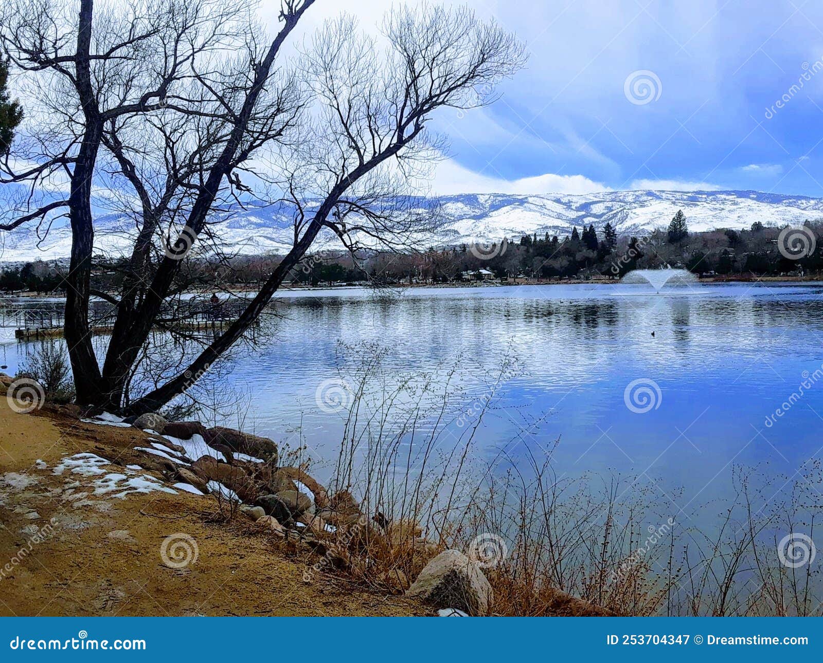 Virginia Lake in the Winter Stock Image - Image of winter, peaceful ...