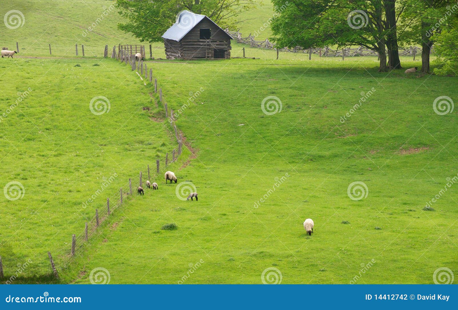 Virginia Rural Scenic stock photo. Image of rural, grass - 14412742