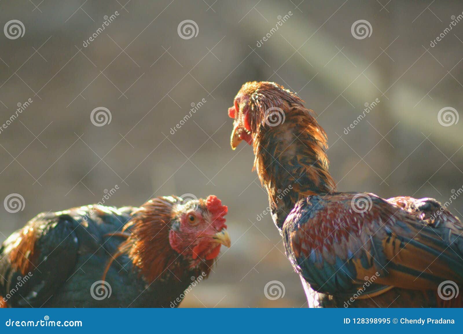 Virility stock afbeelding. Image of levendigheid, strijd - 128398995