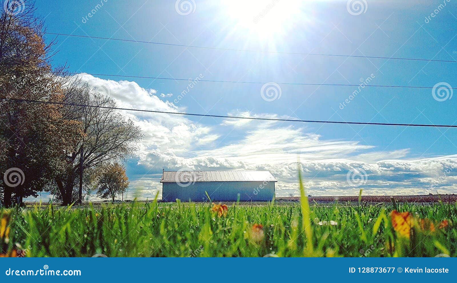 Top View Of Ground Sandy Background Royalty-Free Stock Photography ...