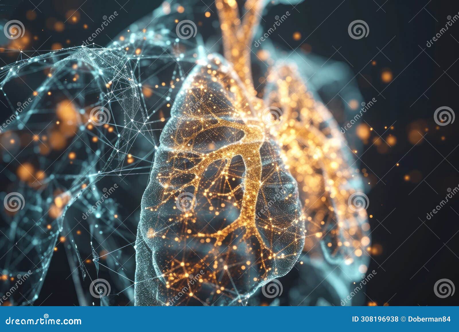 Virtual Glowing Lungs on a Transparent Image of a Torso on a Dark ...