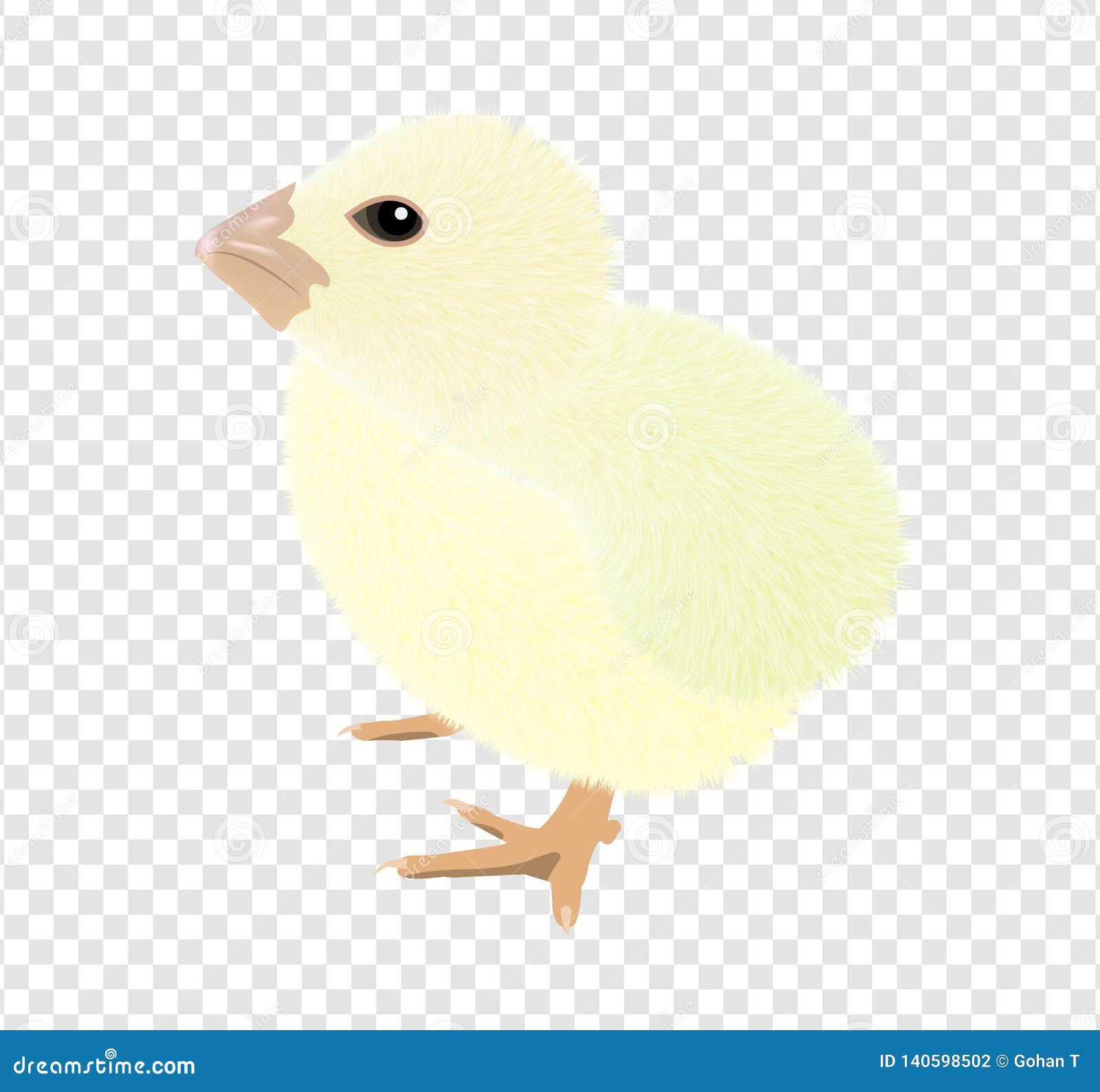 A Virtual Image Of Cute Little Chicks Isolated On A White Background ...