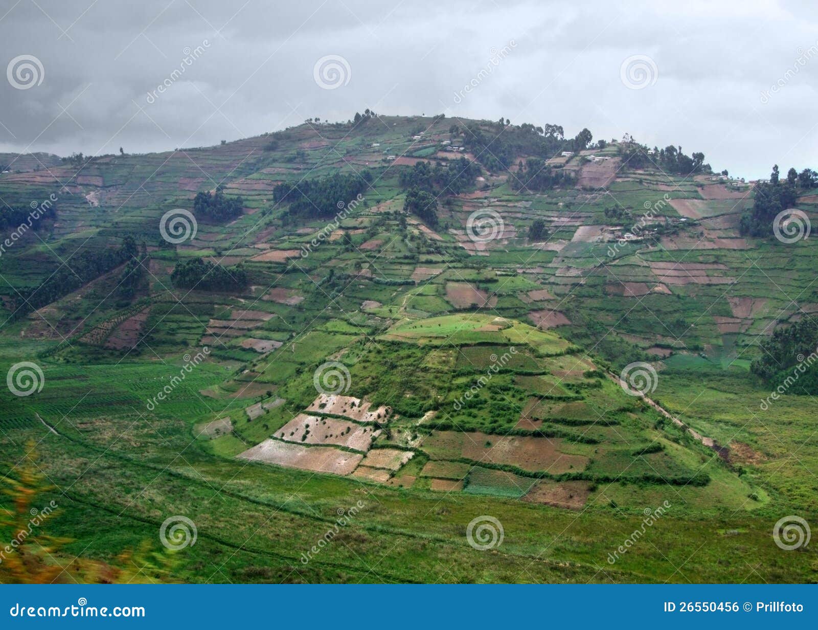 Virunga Mountains Aerial View Stock Photo - Image of forest, plant ...