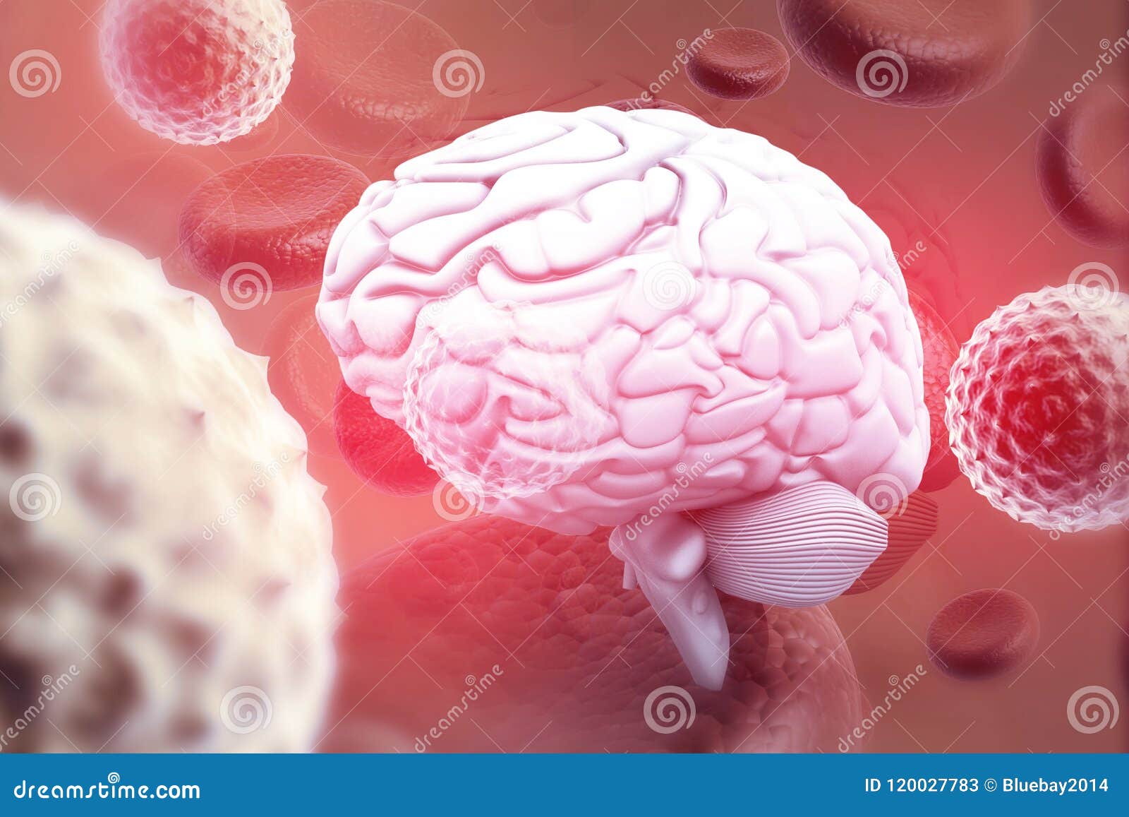 Virus Attacking Human Skin Layers. Medical Anatomy Illustration. Cross ...