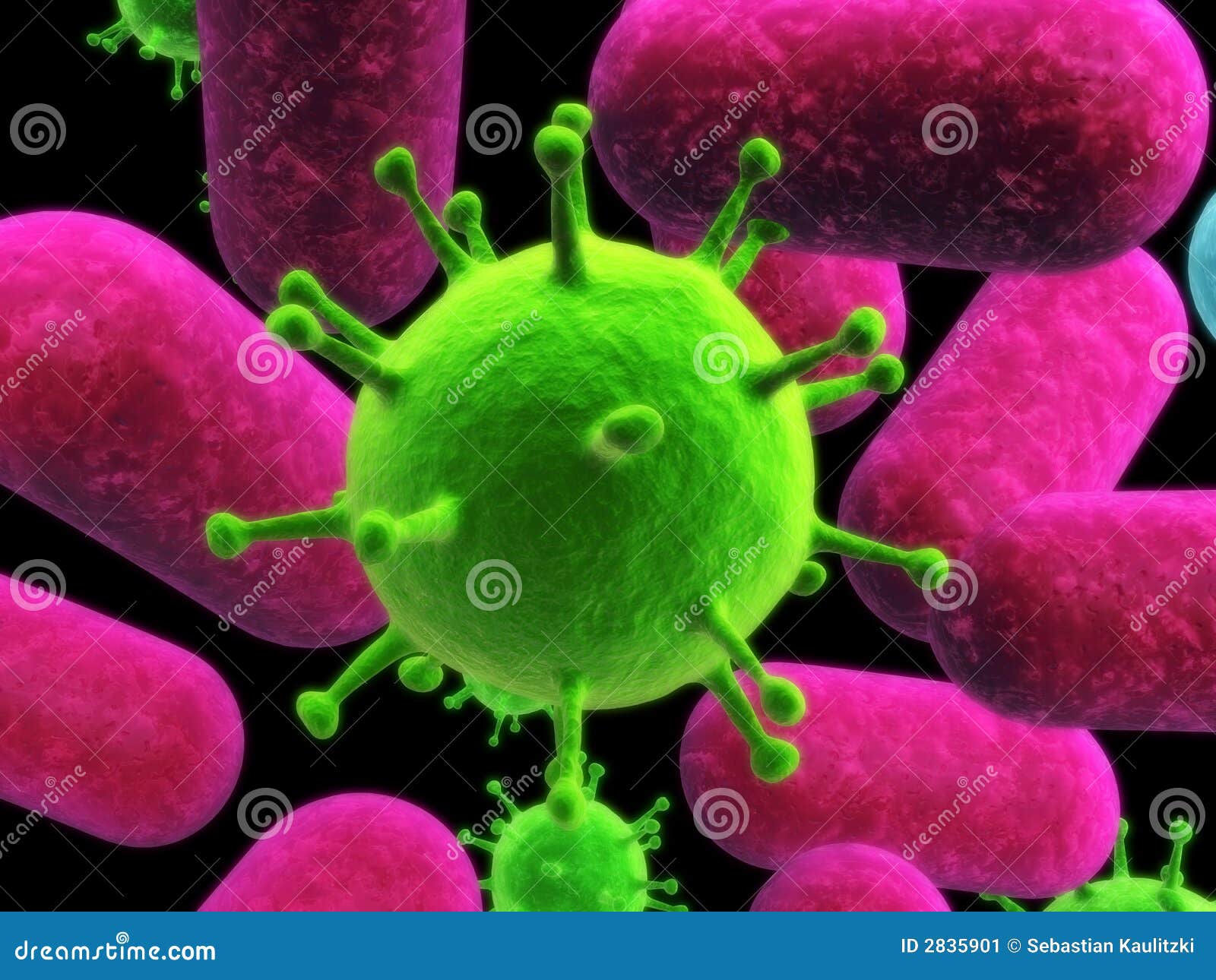 Virus And Bacteria Stock Image - Image: 2835901