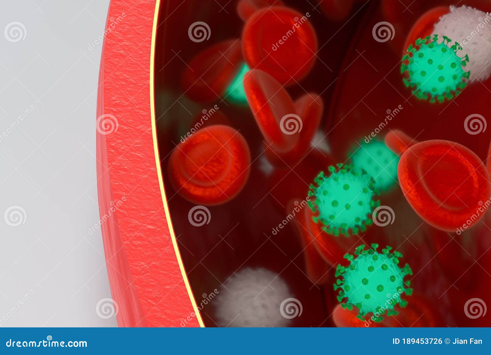 Virus in the Blood Vessel, with Red and White Blood Cells, 3d Rendering ...