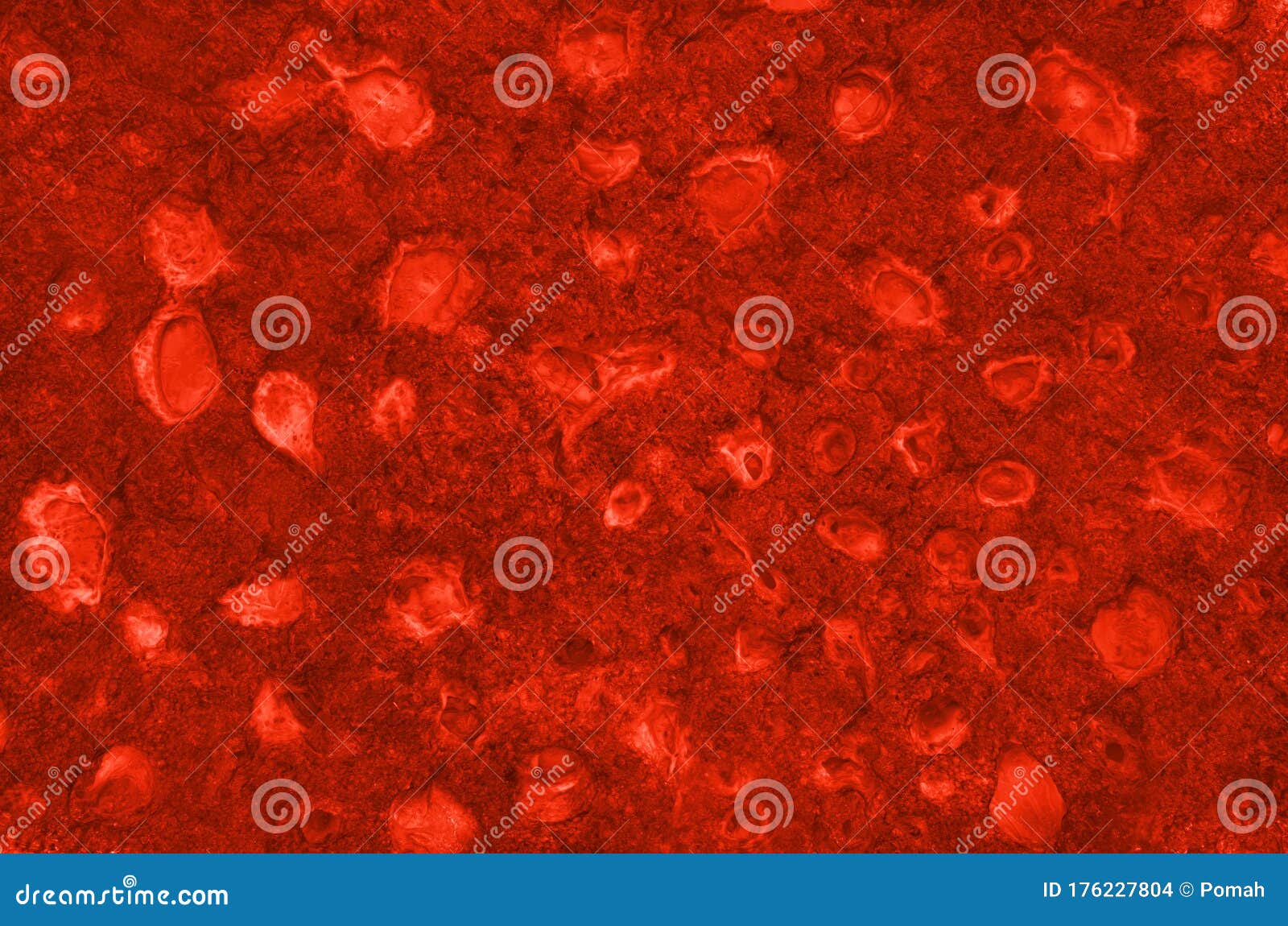 Virus Cell Chinese Pathogen Respiratory Flu Coronavirus COVID-19 Under ...