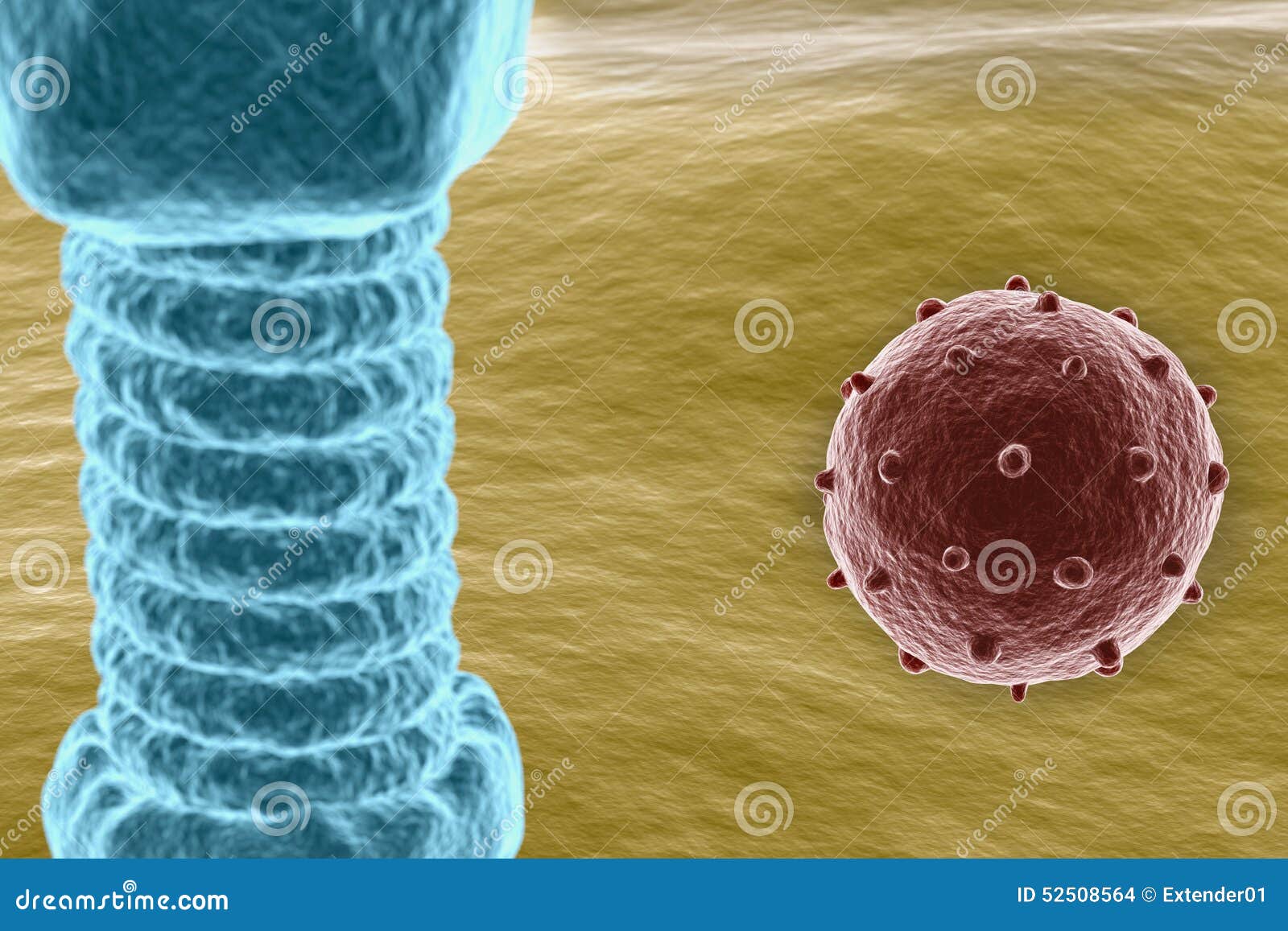 Cell Surface Layer Cartoon Vector | CartoonDealer.com #221040319